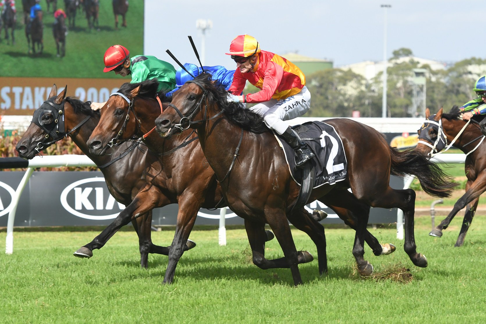 Levendi races into Australian Derby contention | Sports News Australia
