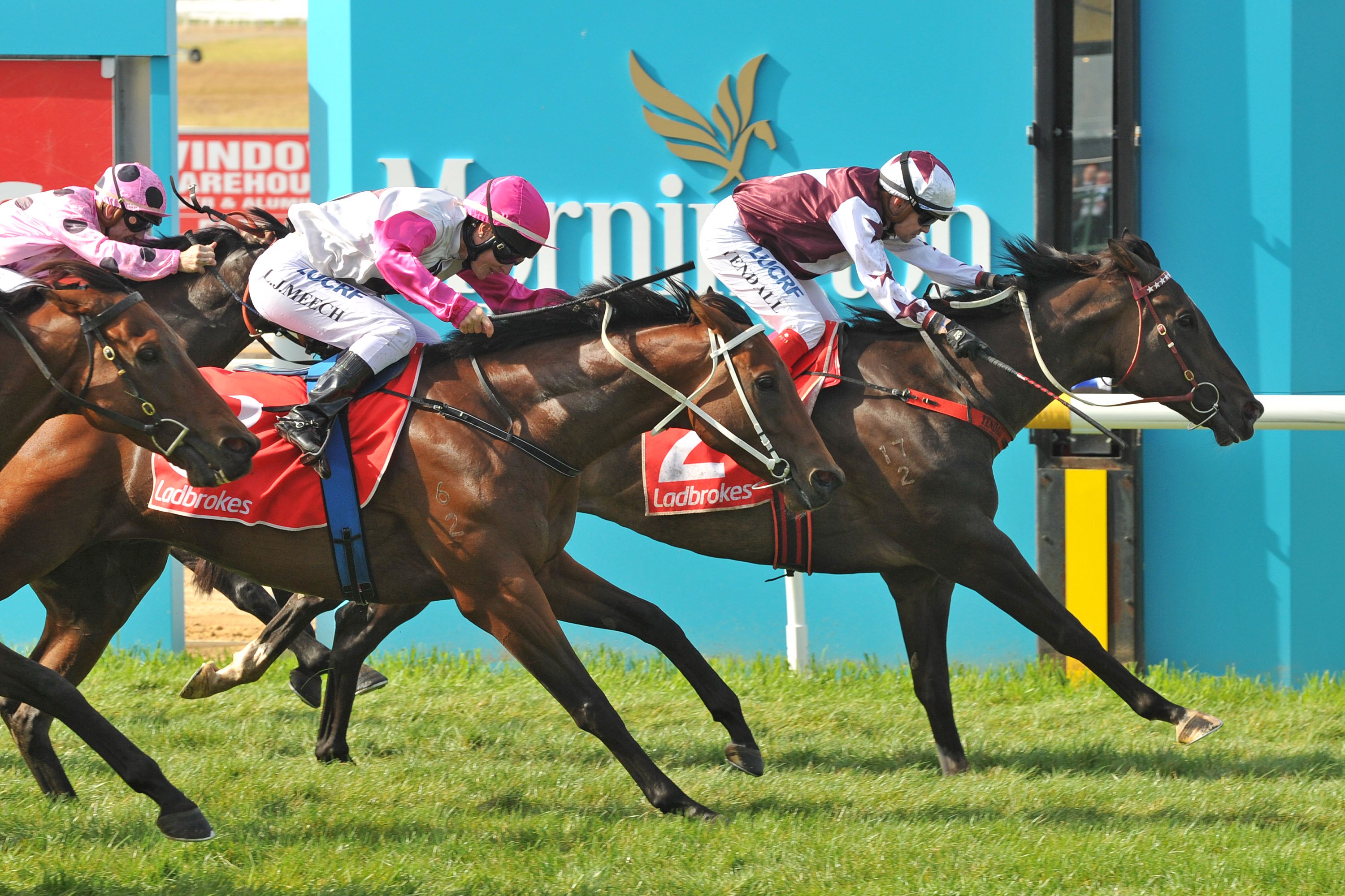 Stellar Collision wins Hareeba Stakes | Sports News Australia
