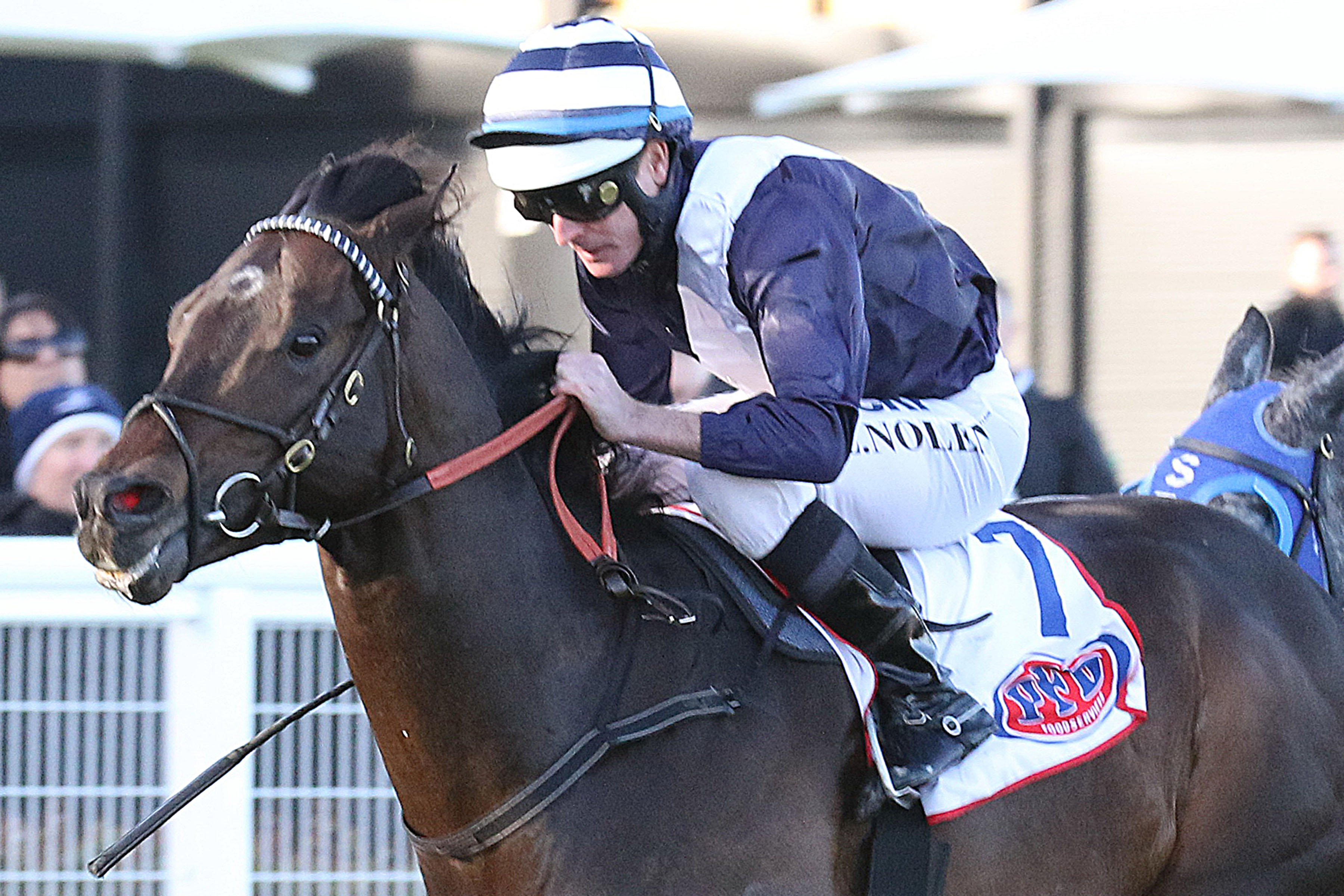 Local knowledge to help Supido in Victory Stakes | Sports News Australia