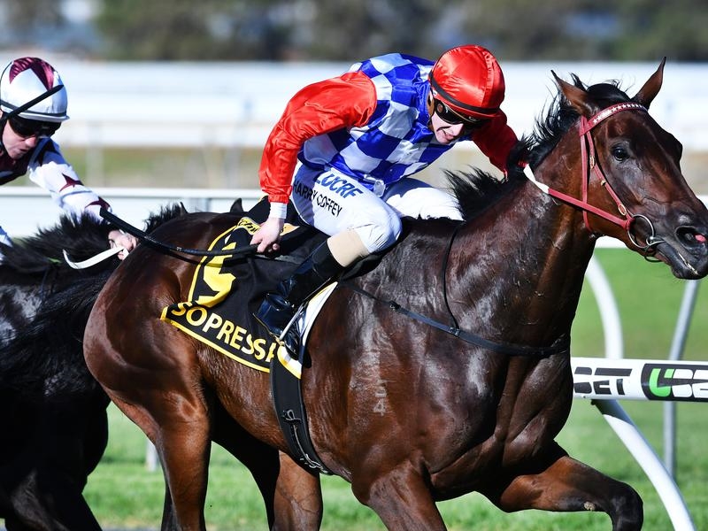 Harry Coffey wins G1 Australasian Oaks | Sports News Australia