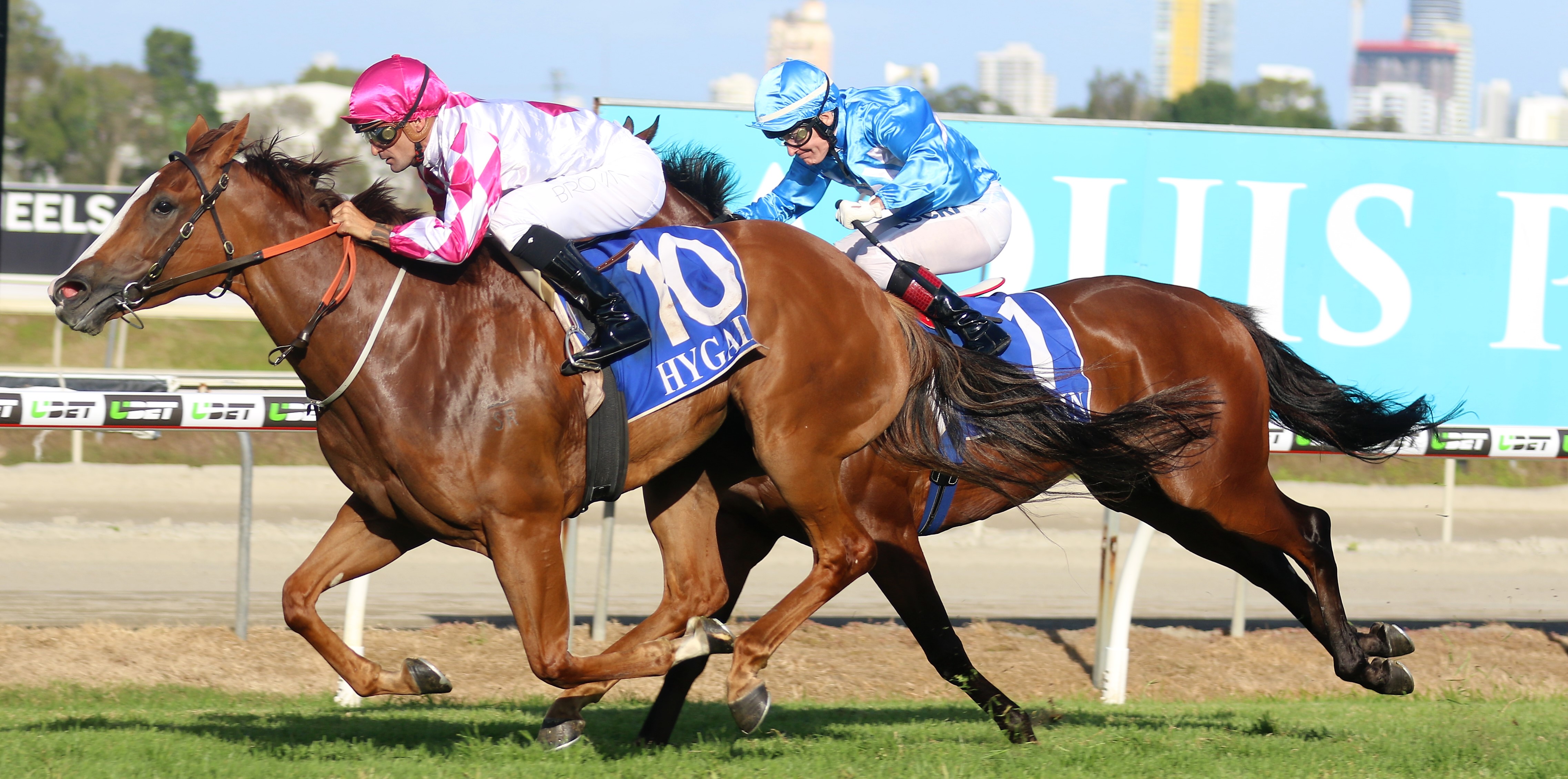 Champagne Cuddles to tackle Kingsford-Smith Cup | Sports News Australia