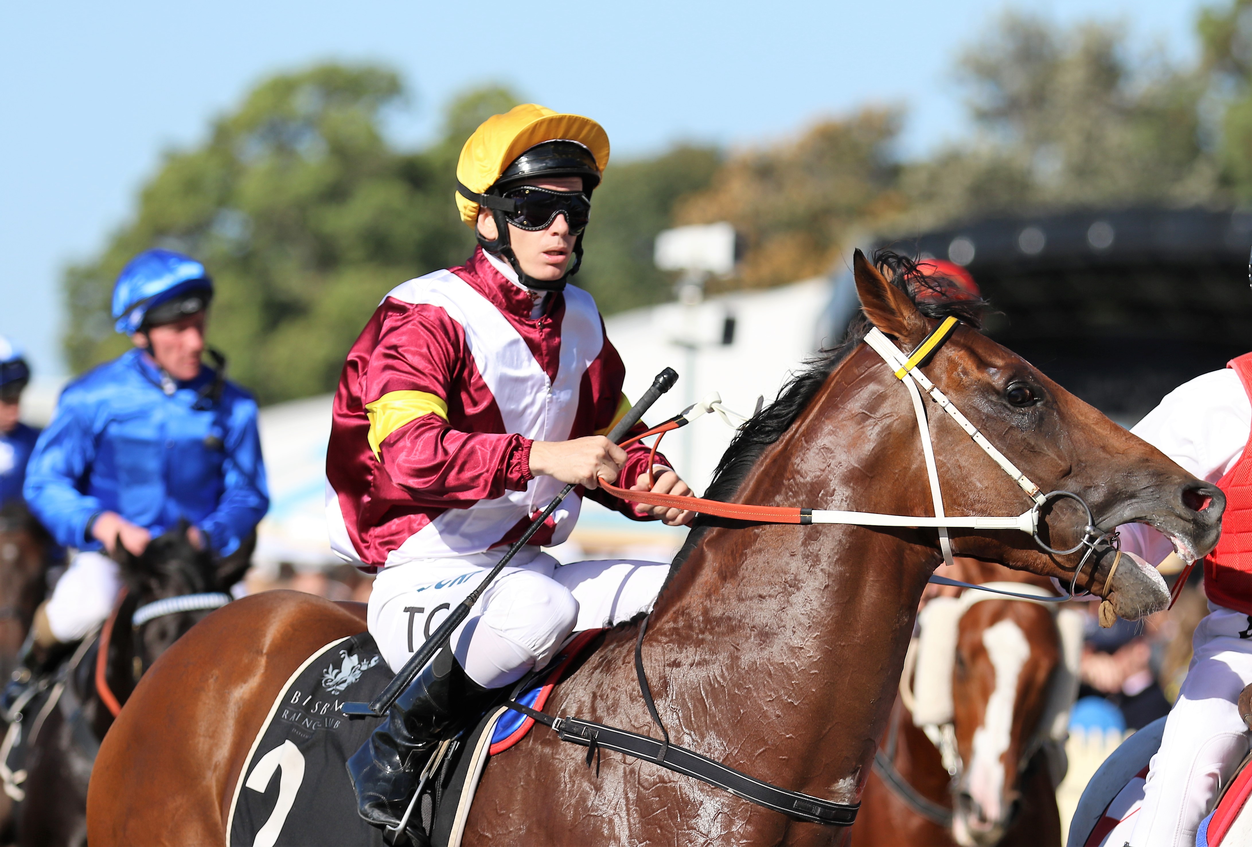 Stradbroke Handicap 2018 decision looms for Paul Perry | Sports News ...