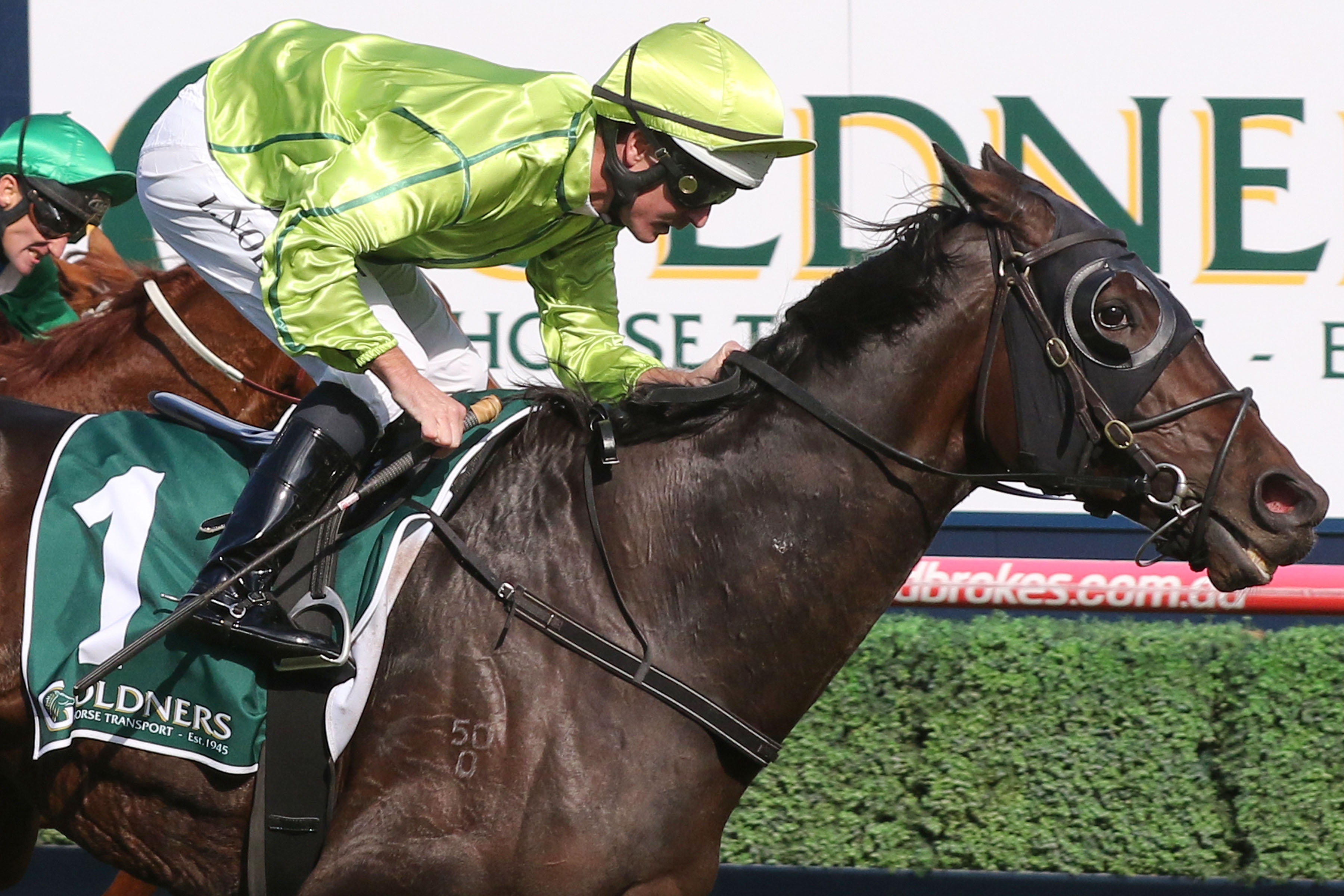 Self Sense ready for Andrew Ramsden Stakes | Sports News Australia