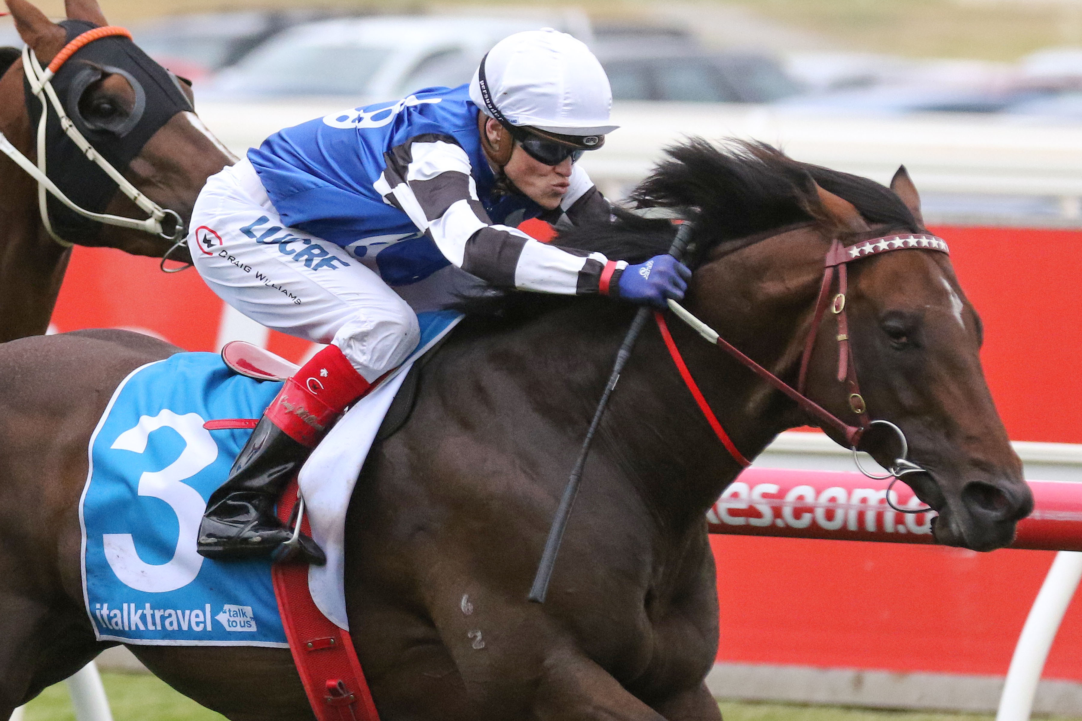 Brave Smash secures slot in The Everest Field | Sports News Australia