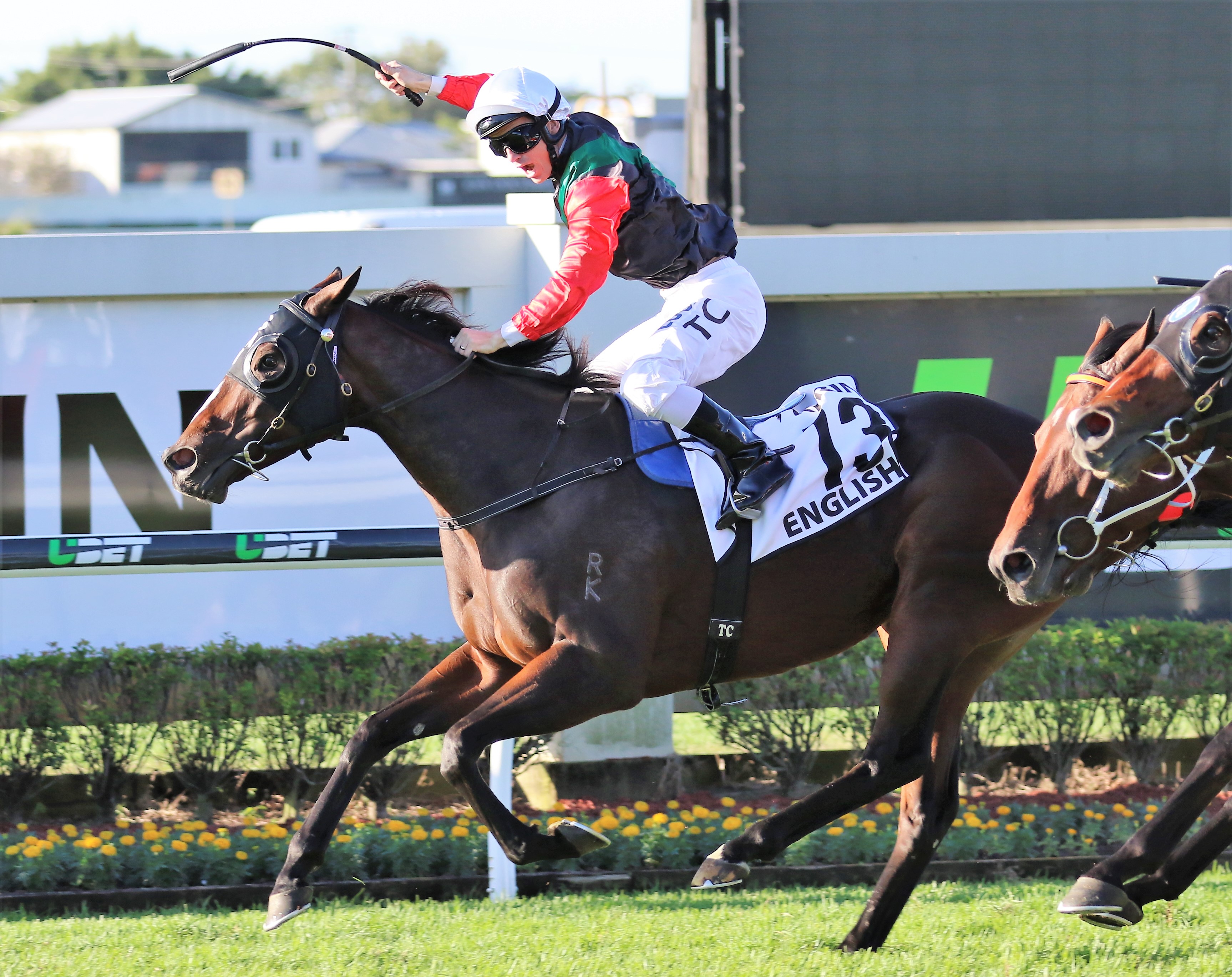 NSW dominates Queensland Winter Racing Carnival | Sports News Australia