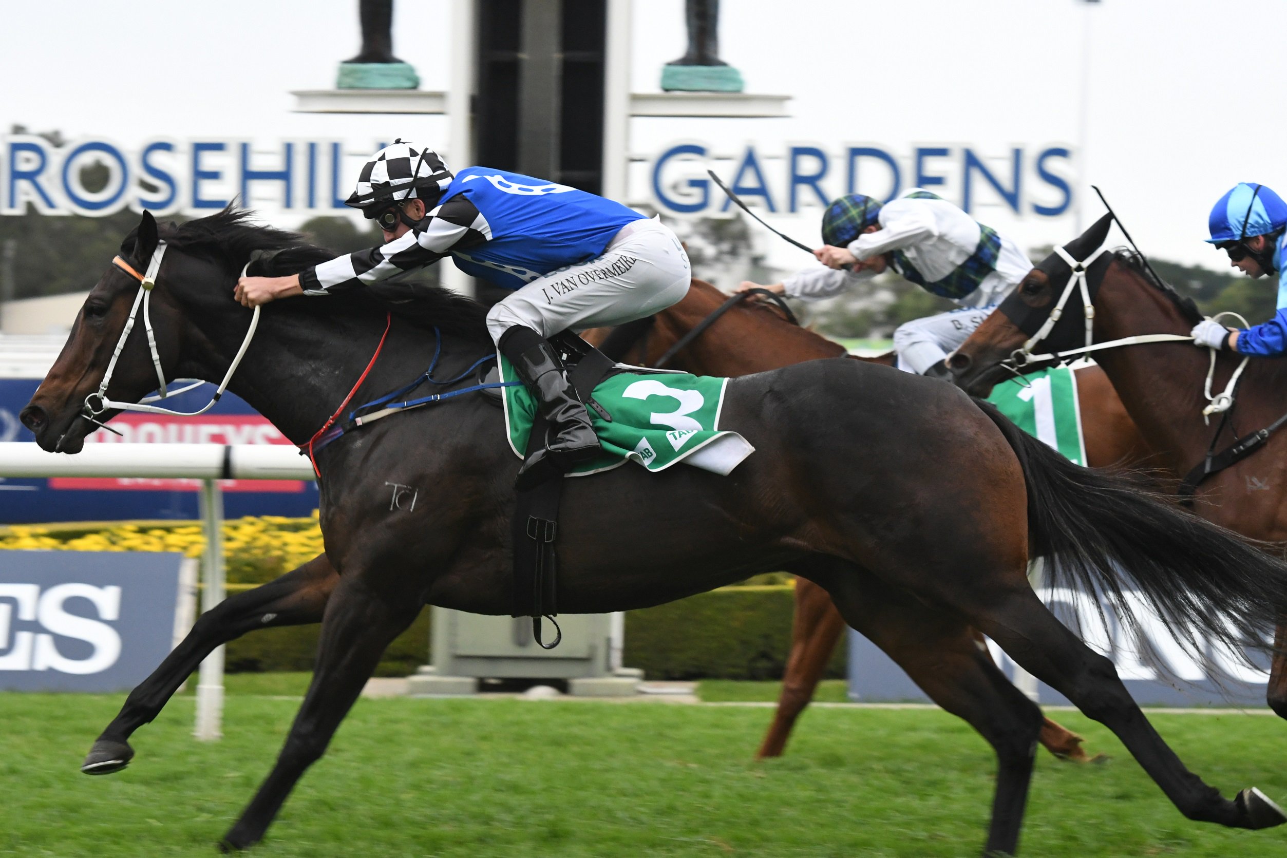 Princess Posh likely to head to Winter Stakes | Sports News Australia