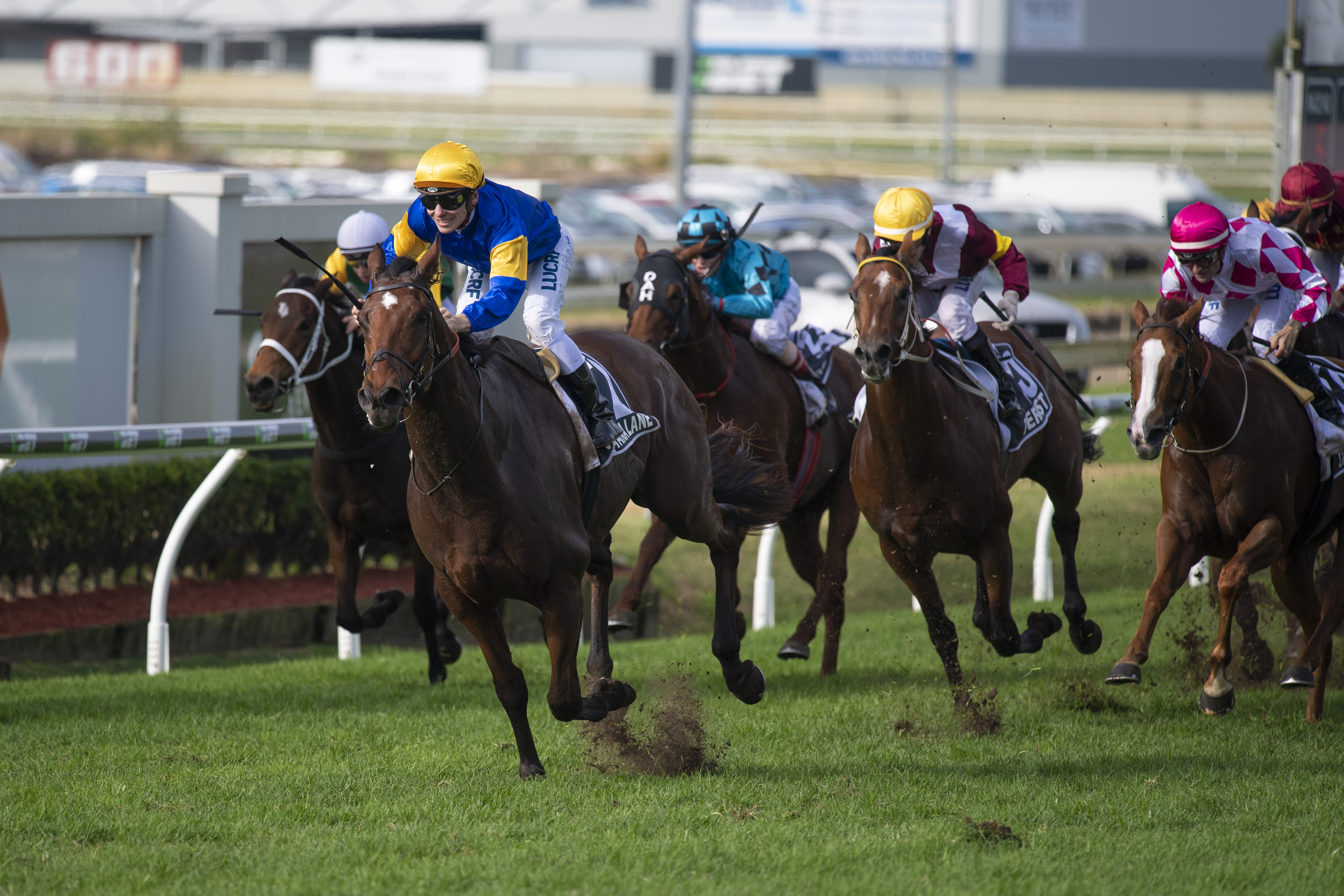 The Everest start on the line for Santa Ana Lane | Sports News Australia
