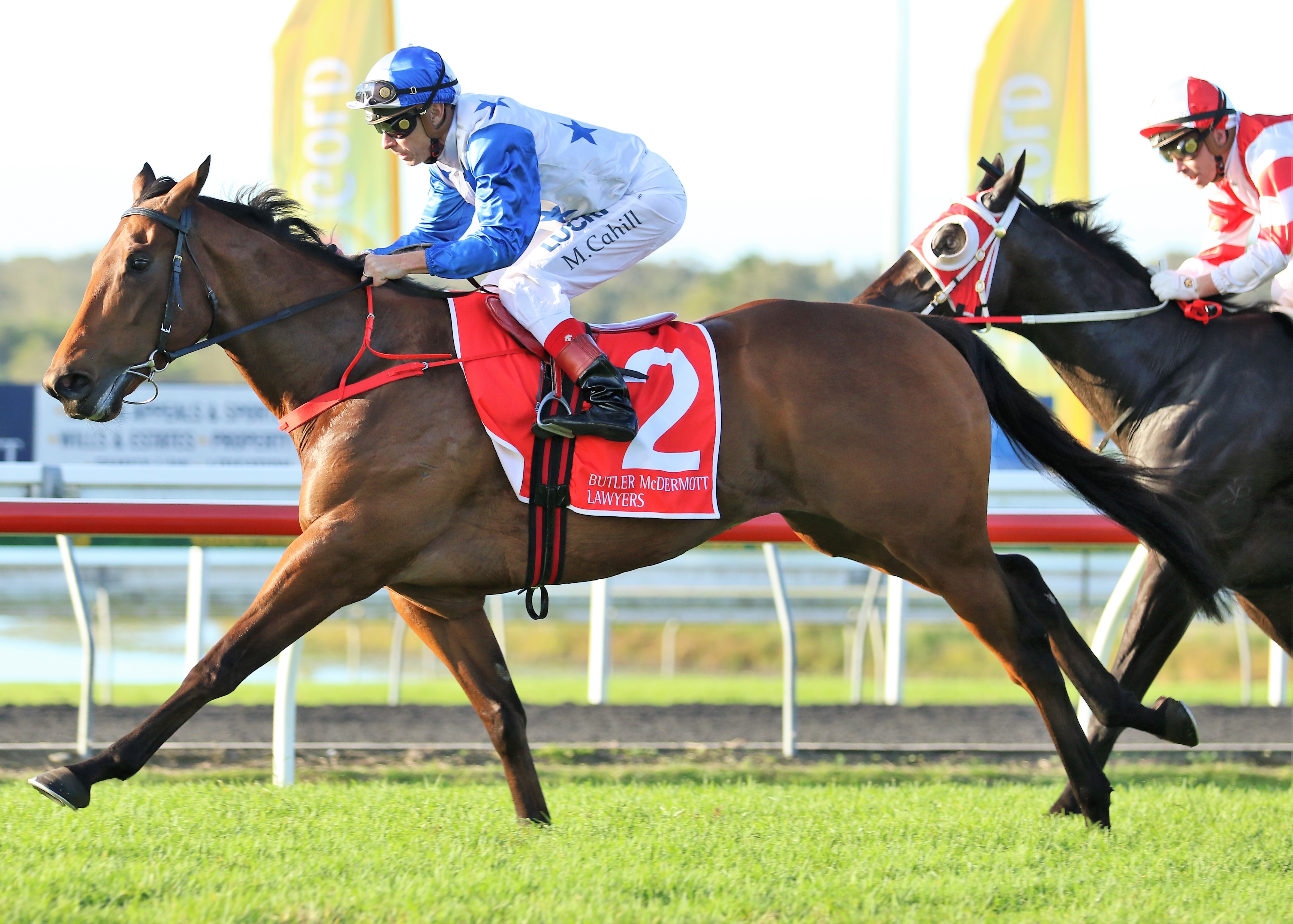 The Bostonian takes out 2018 Sunshine Coast Guineas | Sports News Australia