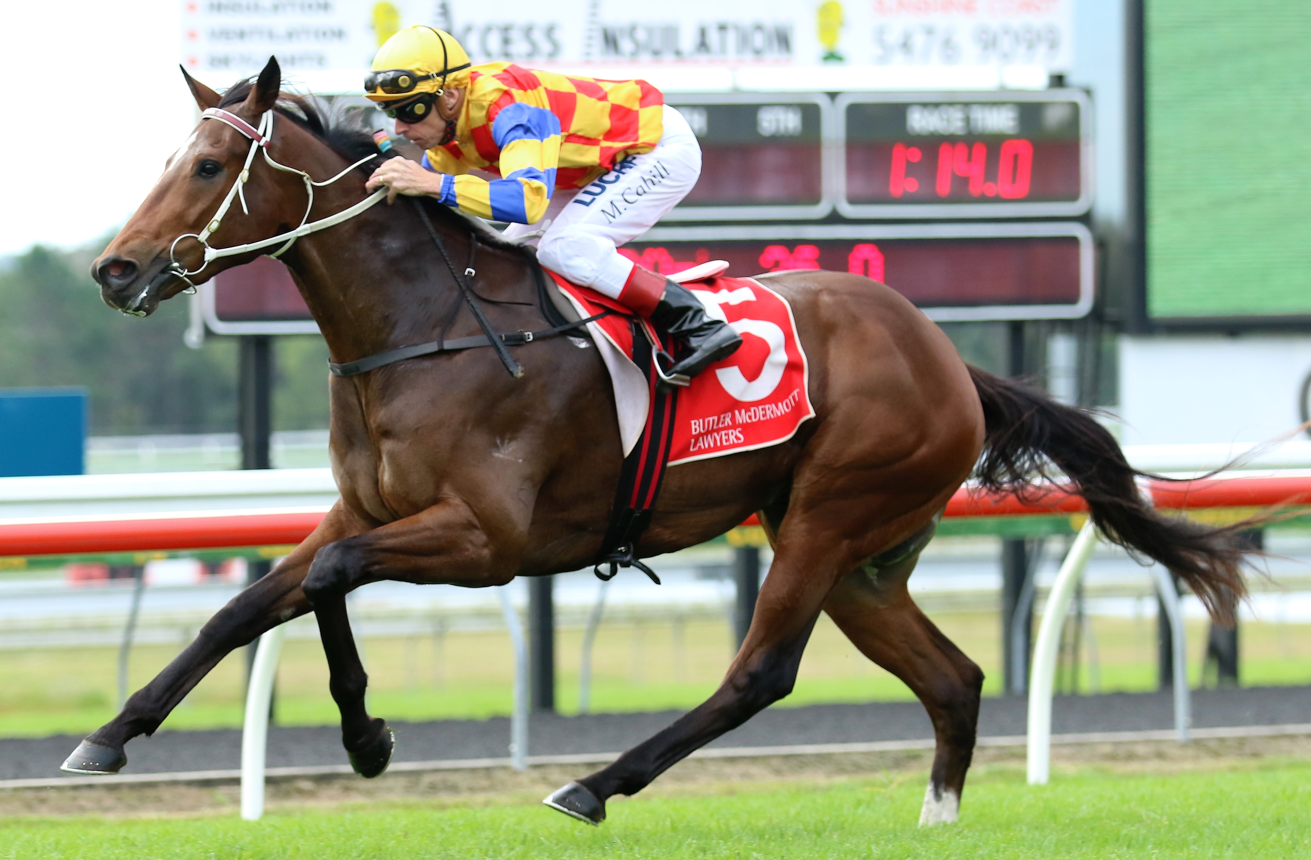 The Fire Trap overcomes wide barrier to claim Bruce McLachlan Classic ...