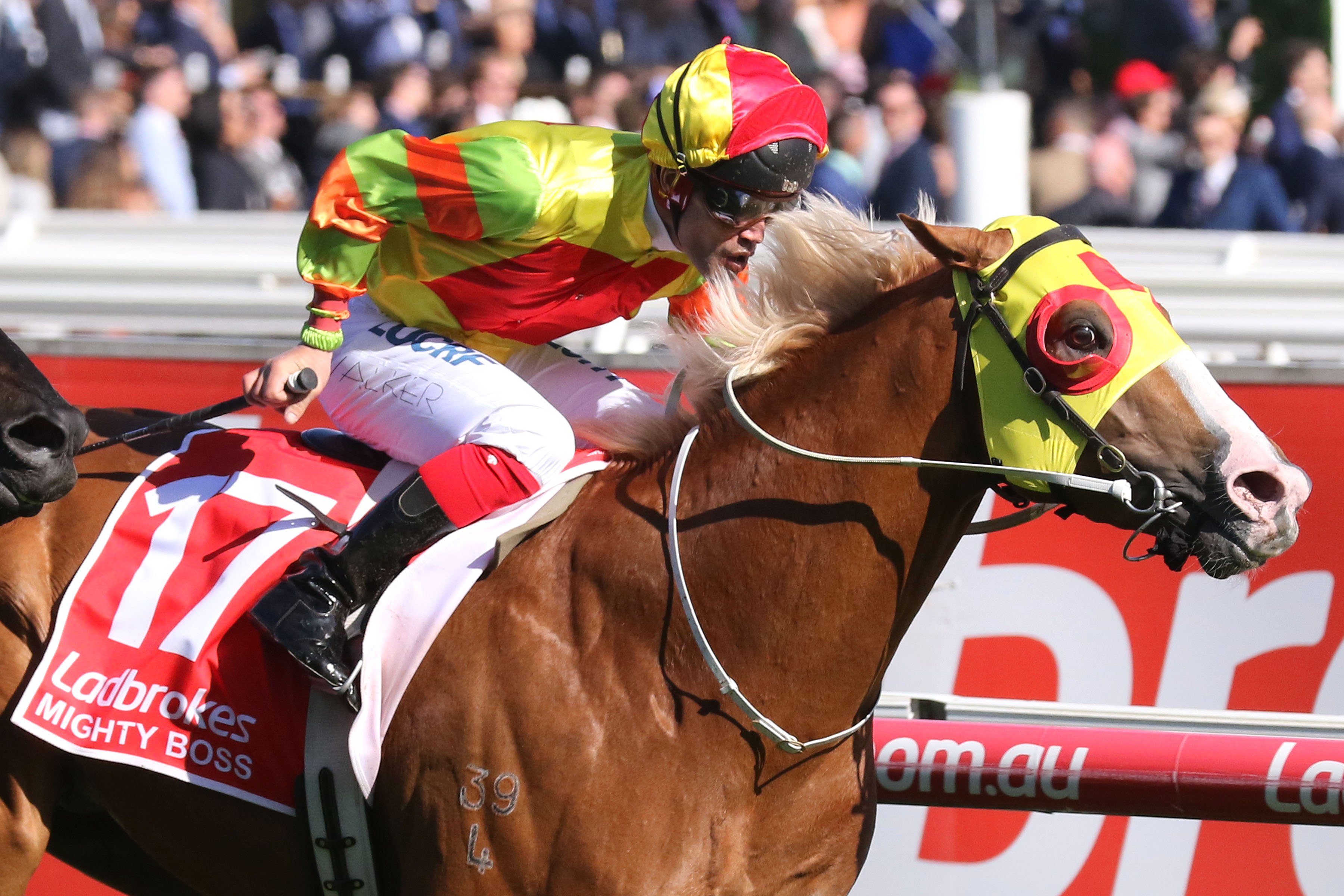 Mick Price shows off Spring Racing Carnival contenders | Sports News ...