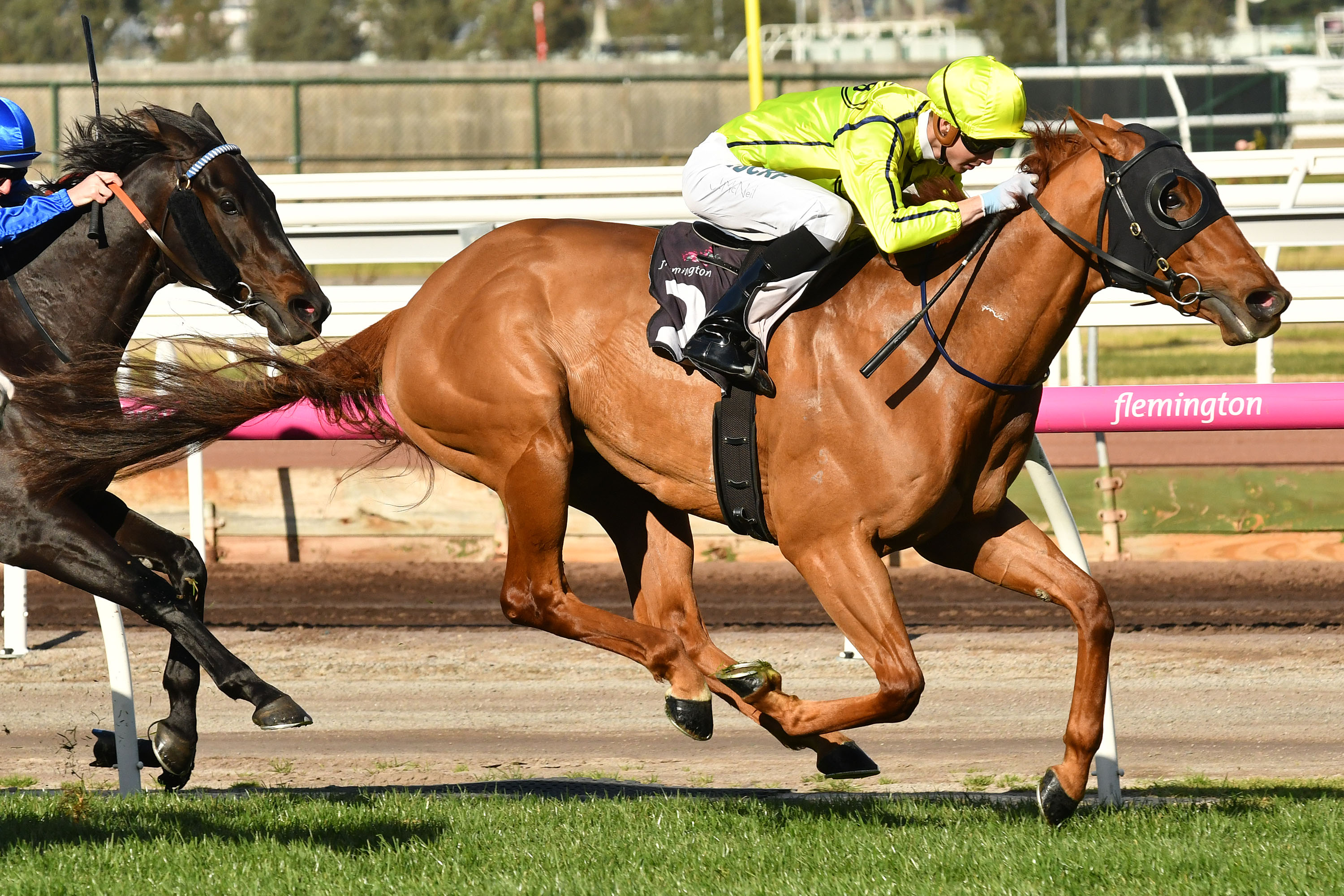 Mr Money Bags on on trial for VOBIS Gold Reef | Sports News Australia