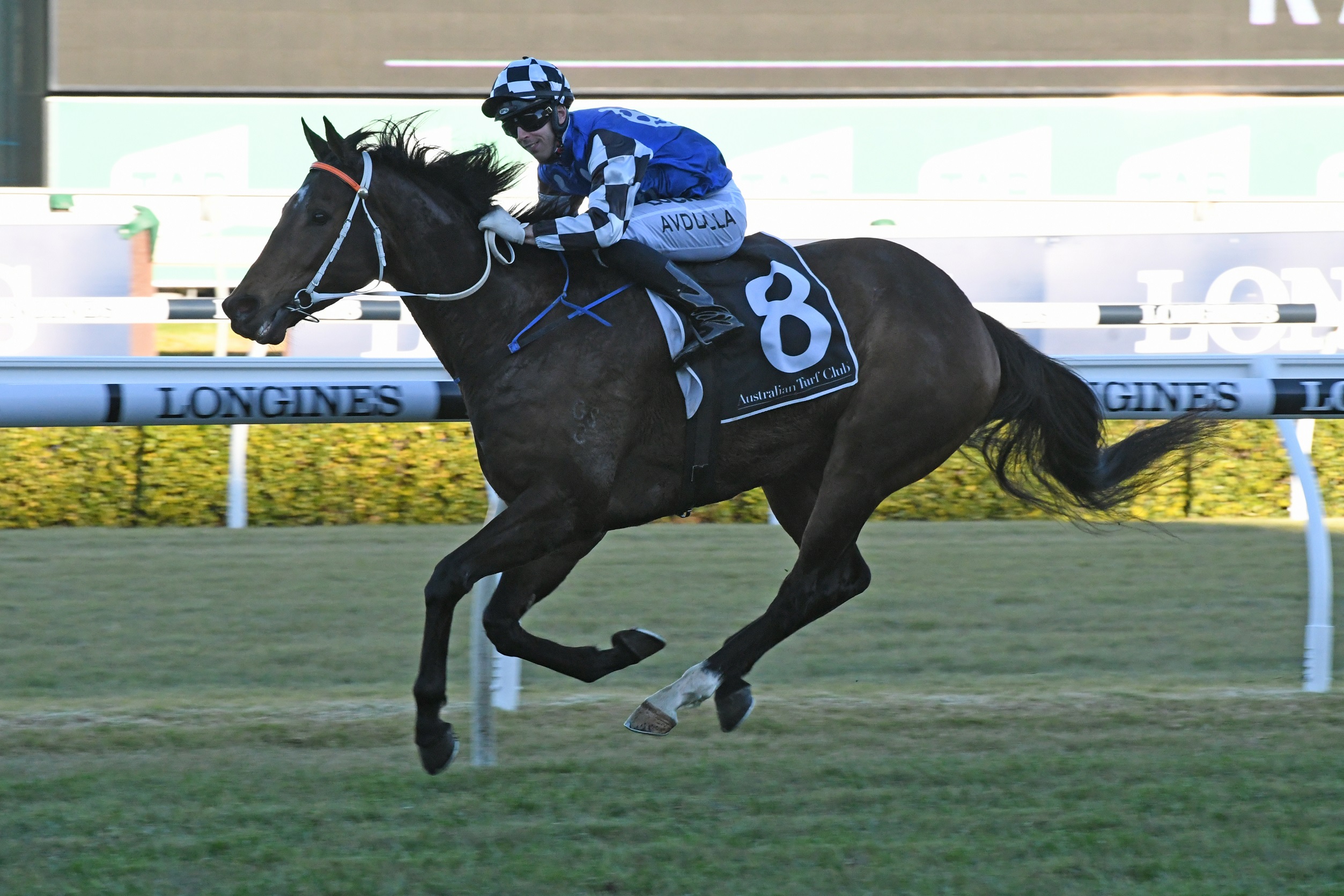 Tactical Advantage dominates July Sprint at Randwick | Sports News ...