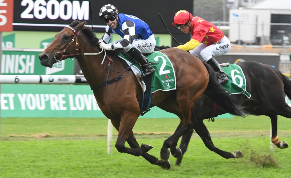 Big Duke poised for Royal Randwick major | Sports News Australia