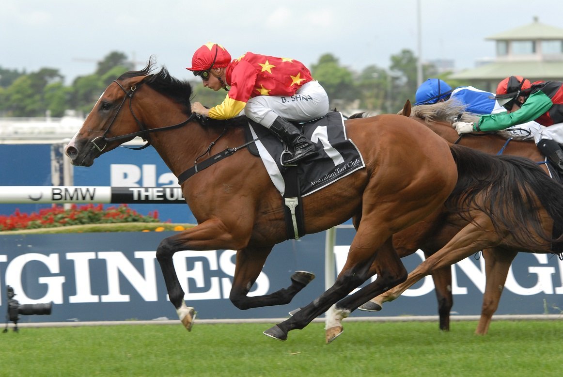 Fight Stakes – What you need to know | Sports News Australia