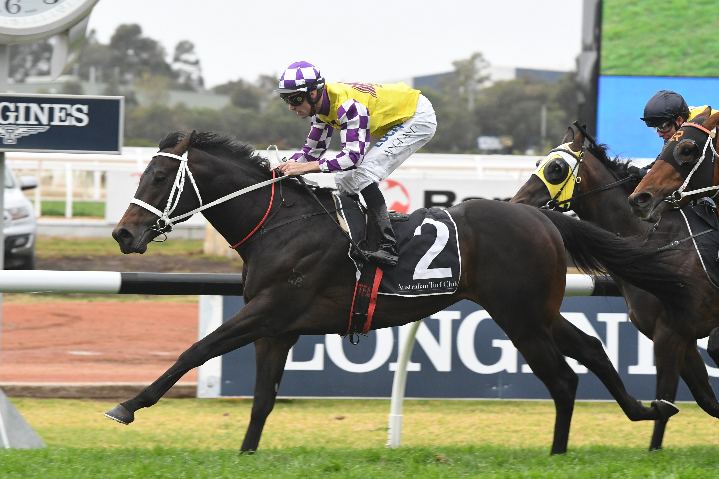 Lean Mean Machine's odds slashed for Golden Rose | Sports News Australia