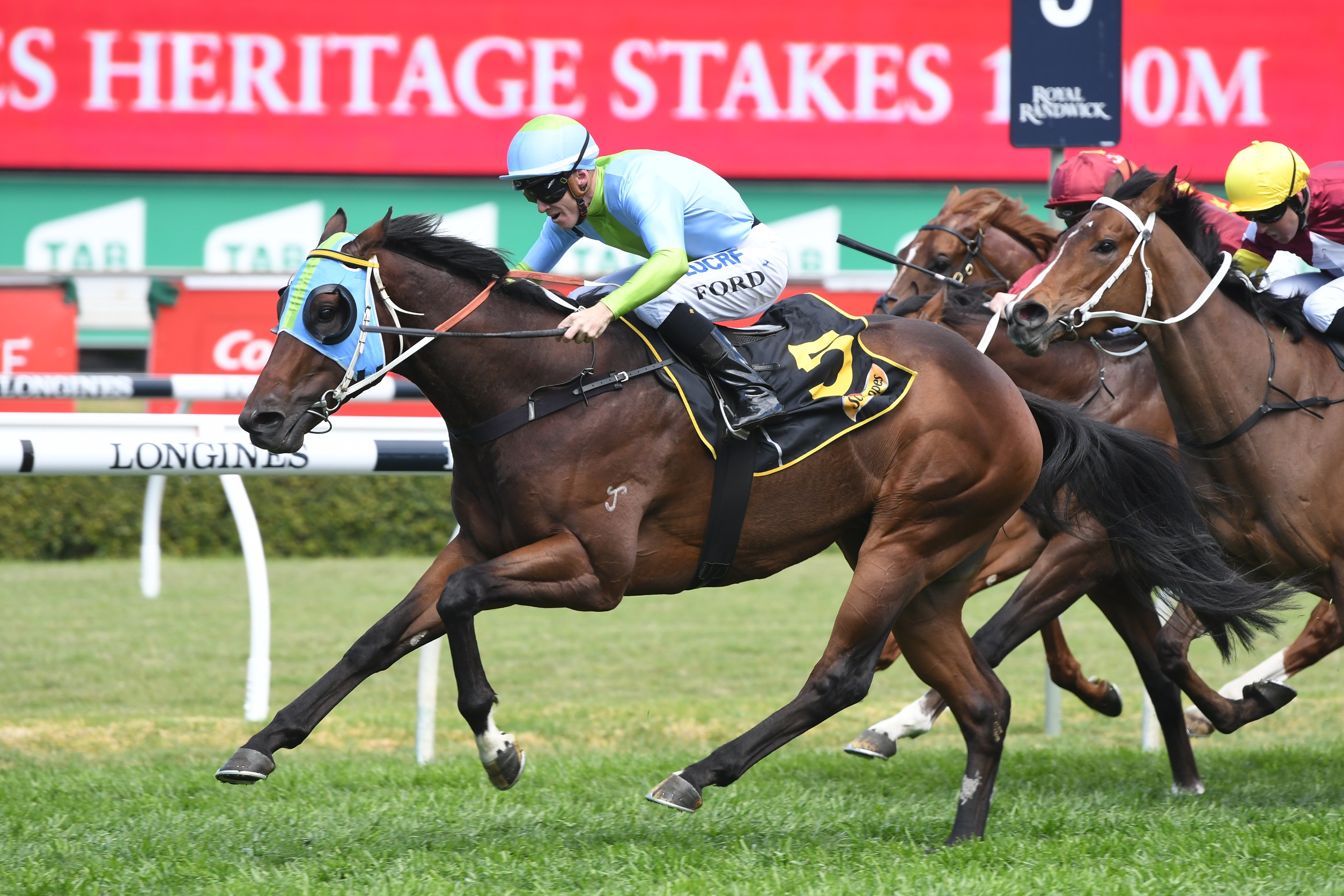 Ragged Rascal's odds shorten for 2018 Caulfield Guineas | Sports News ...