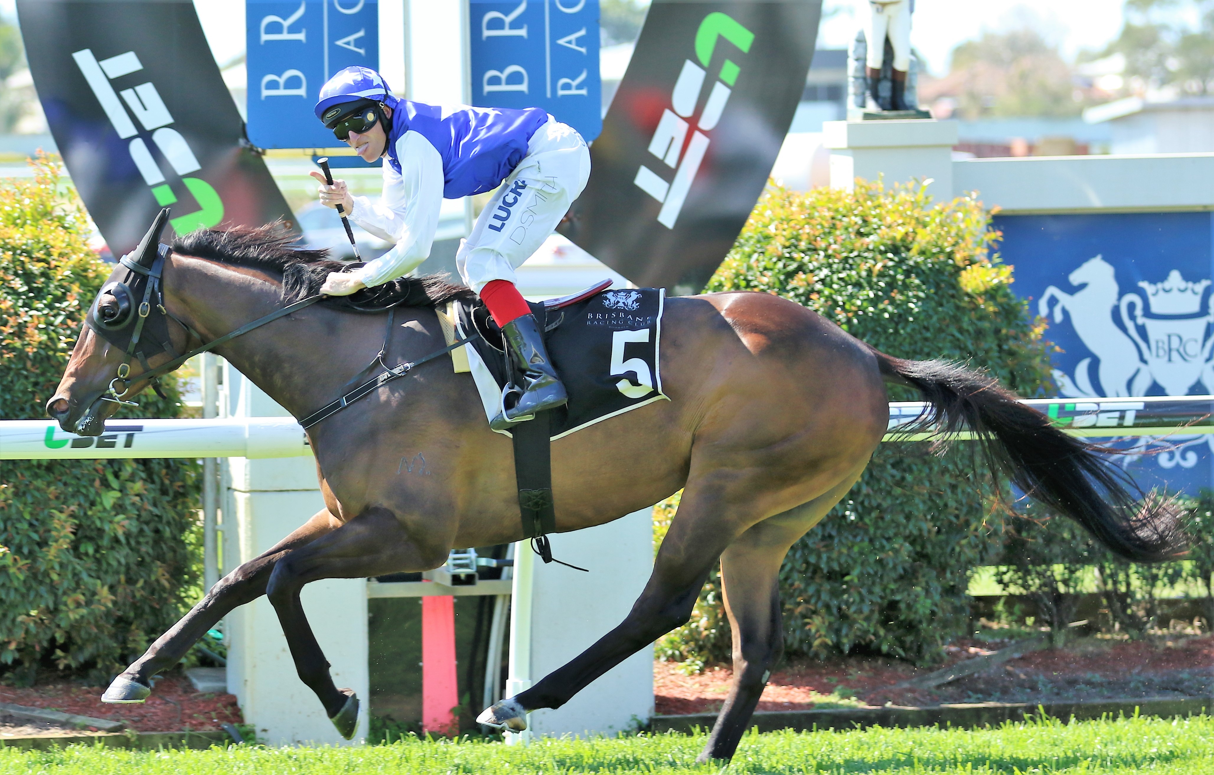 Tversky to target race on Melbourne Cup day | Sports News Australia