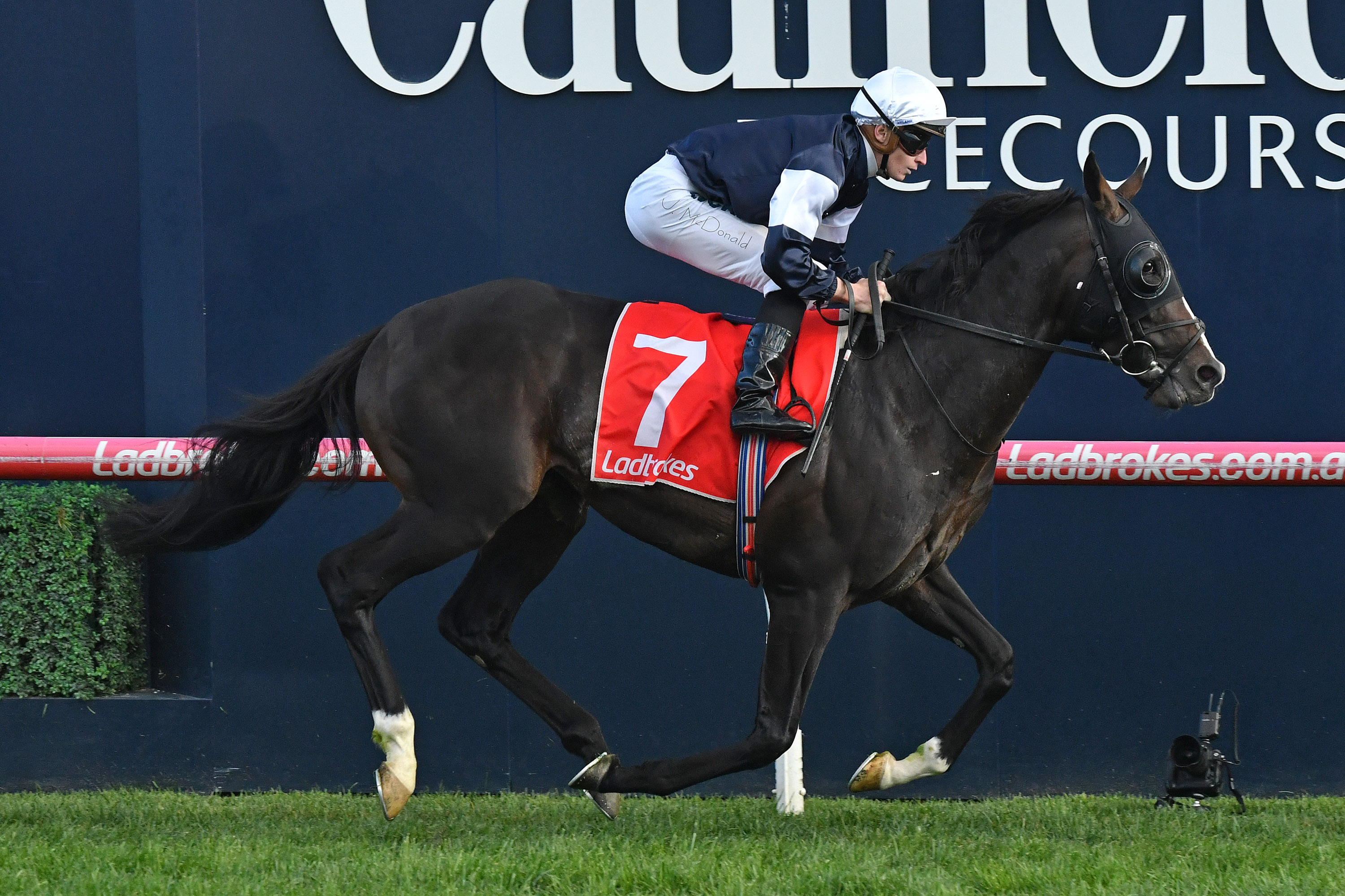 Melbourne Cup horses to keep their names | Sports News Australia