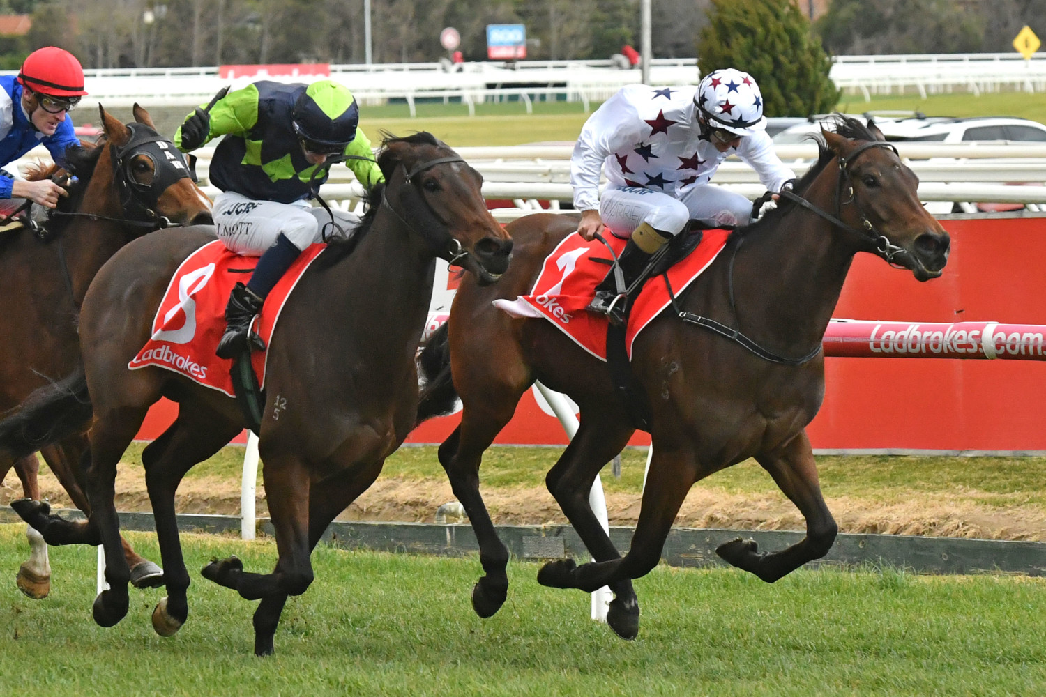 Sunlight sizzles ahead of Thoroughbred Club Stakes | Sports News Australia