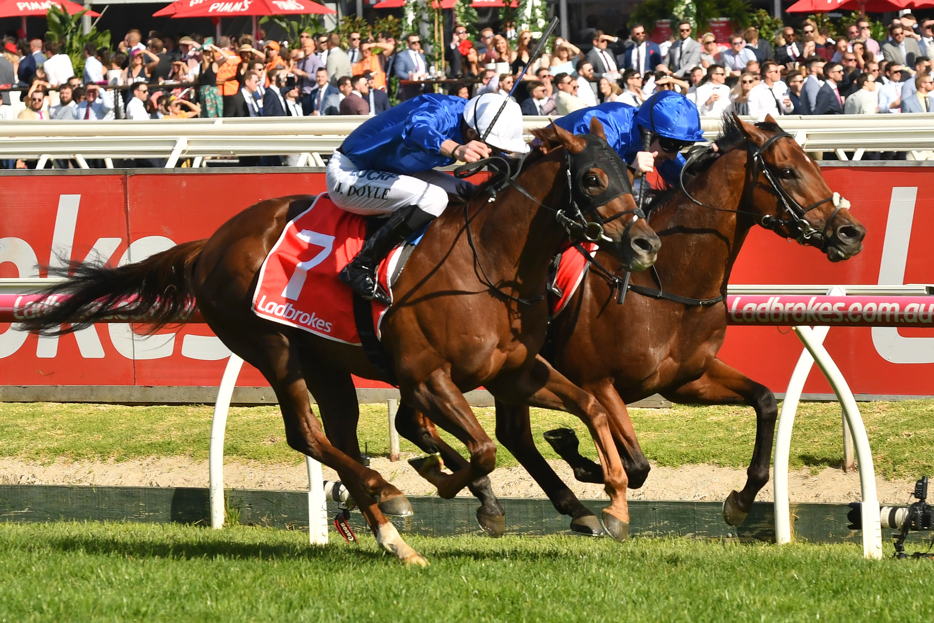 Results: Godolphin stars fight out Caulfield Stakes | Sports News Australia