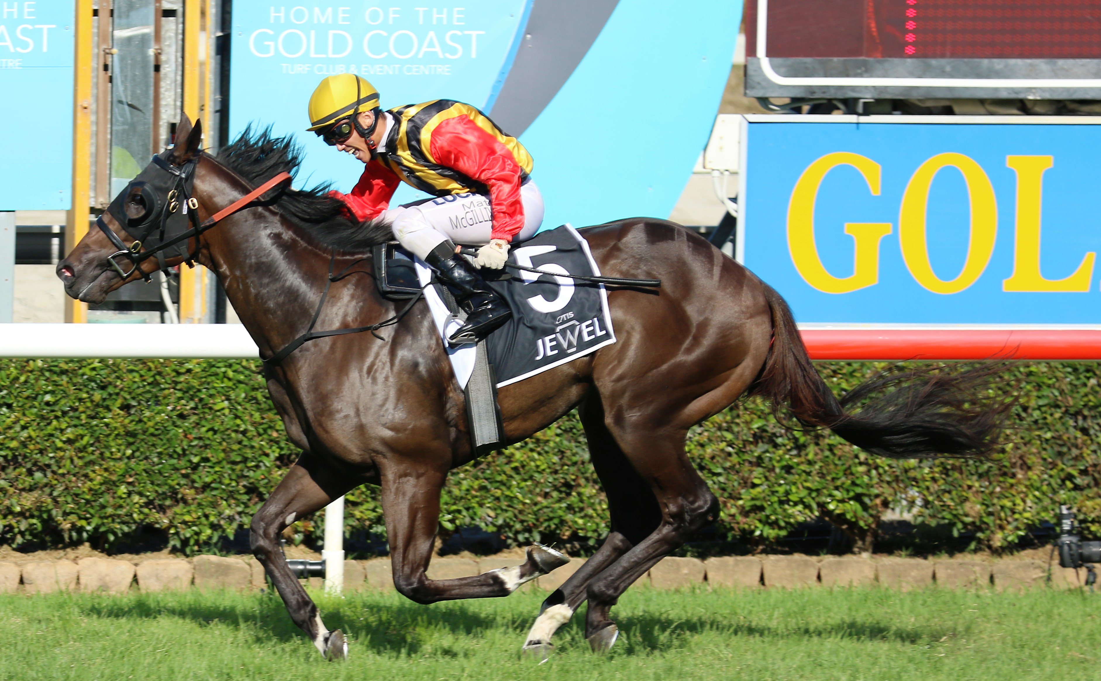 Boomsara to take on Zoustyle in Winning Rupert Plate | Sports News ...