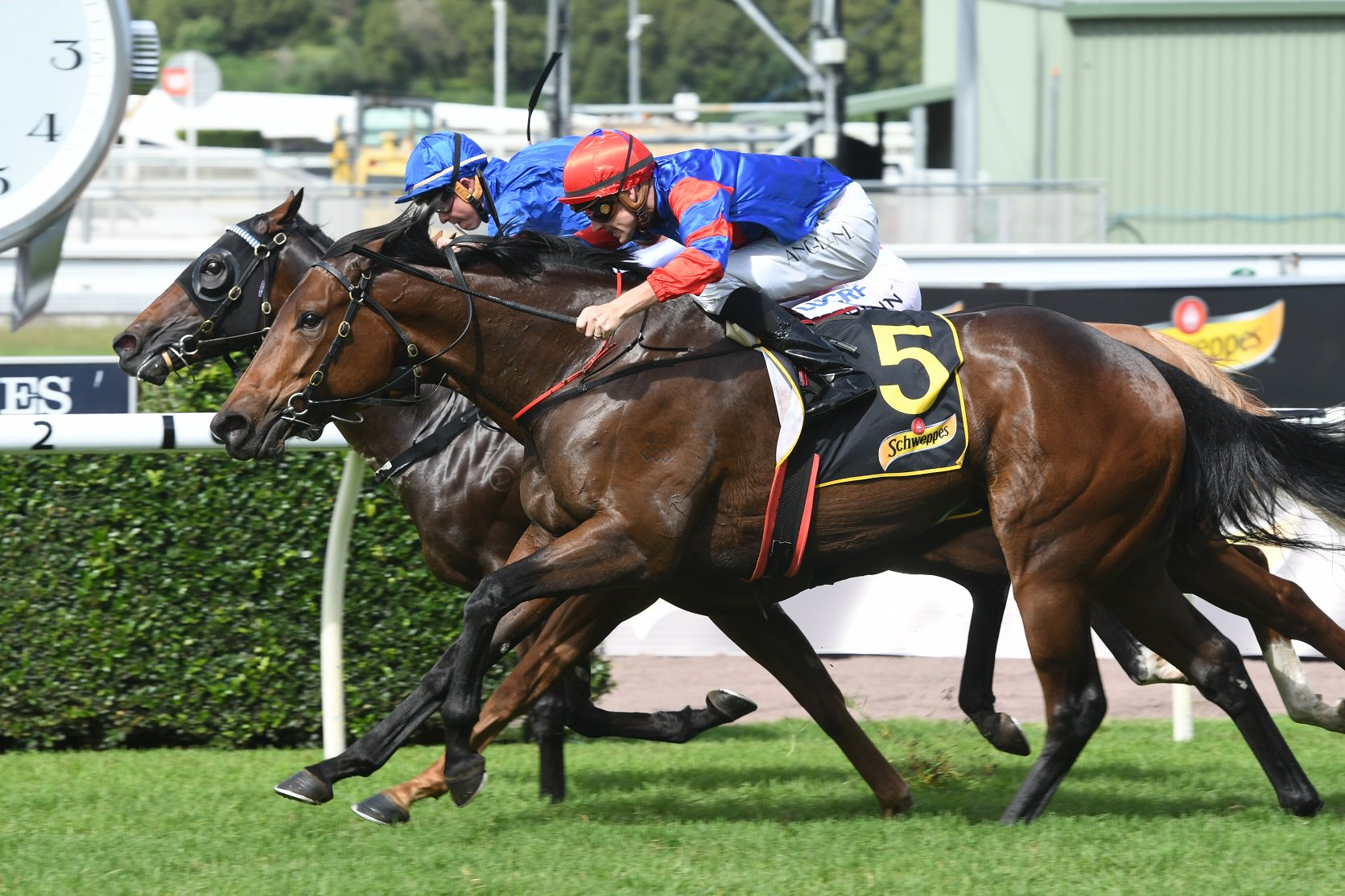 Trainer Mark Newnham out to keep momentum rolling | Sports News Australia