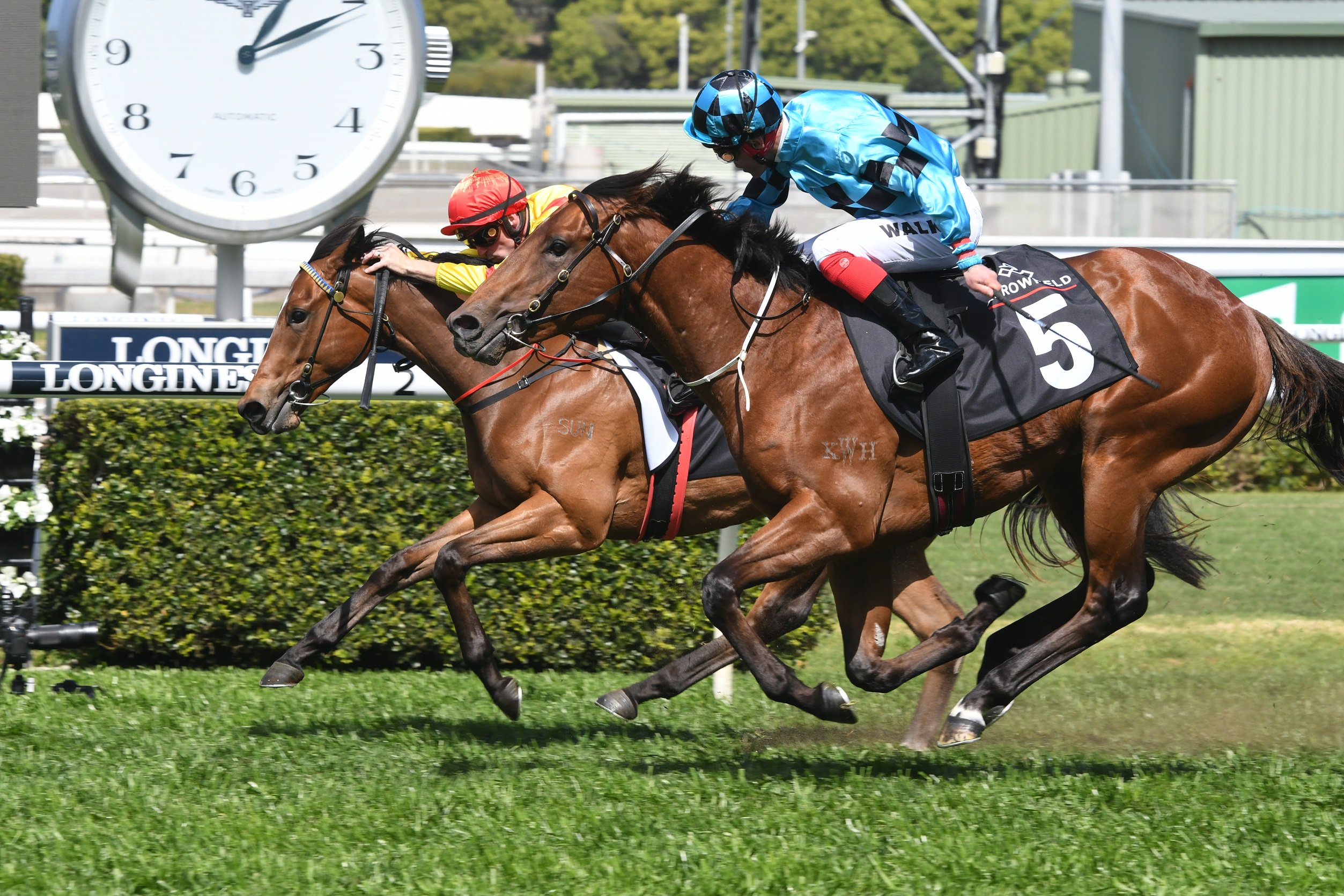 Stakes winners nominated for Wyong Magic Millions 2YO Classic | Sports ...