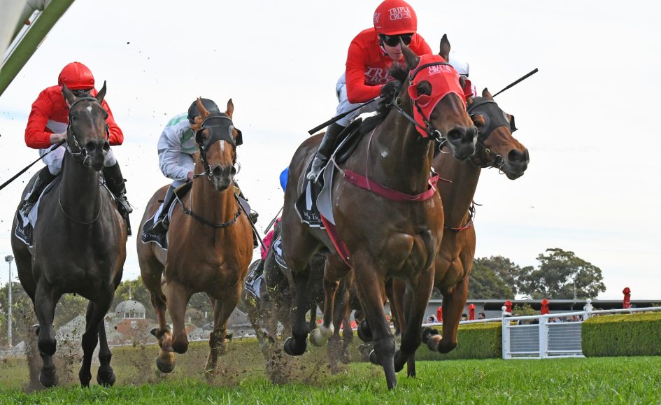 Racing NSW set to announce new spring races | Sports News Australia