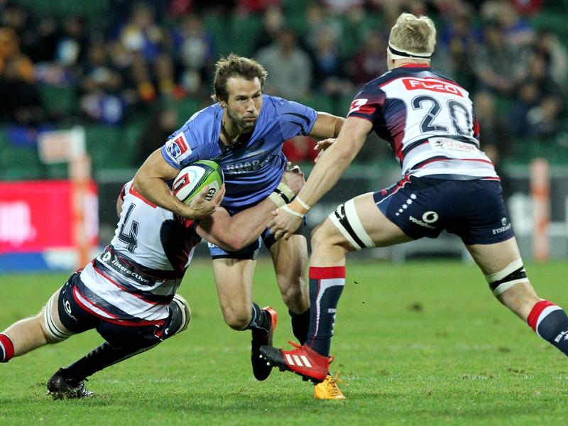 Ex-Springbok Peter Grant forced to retire | Sports News Australia