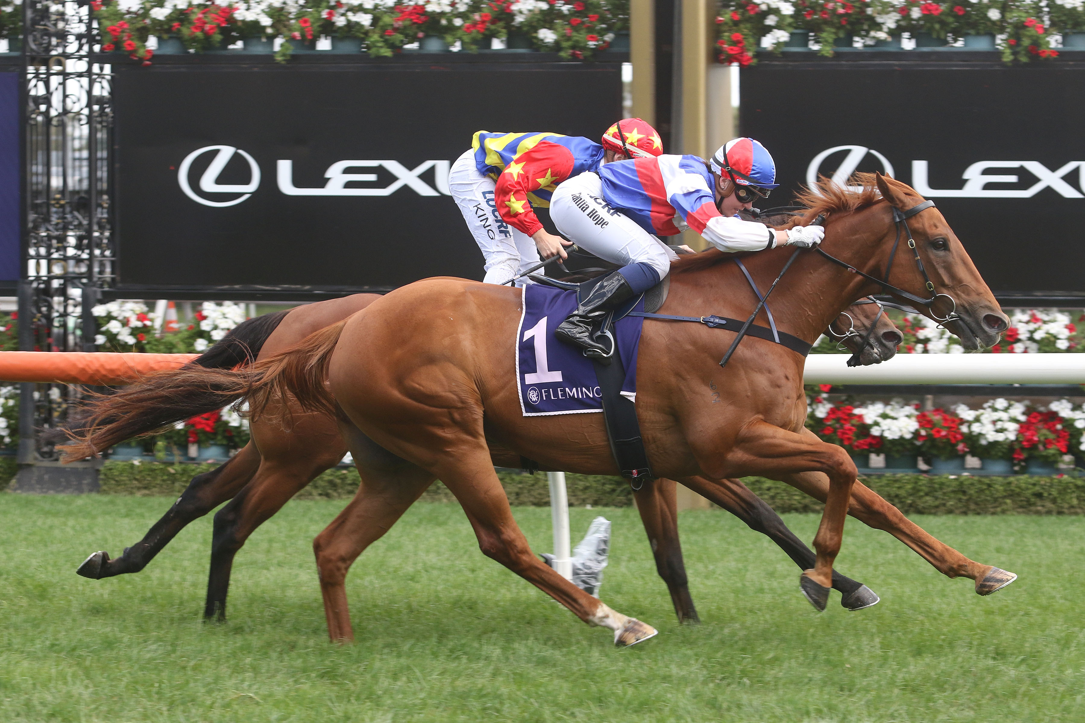 Patrick Payne with Magic Millions and Chester Manifold Stakes runners ...
