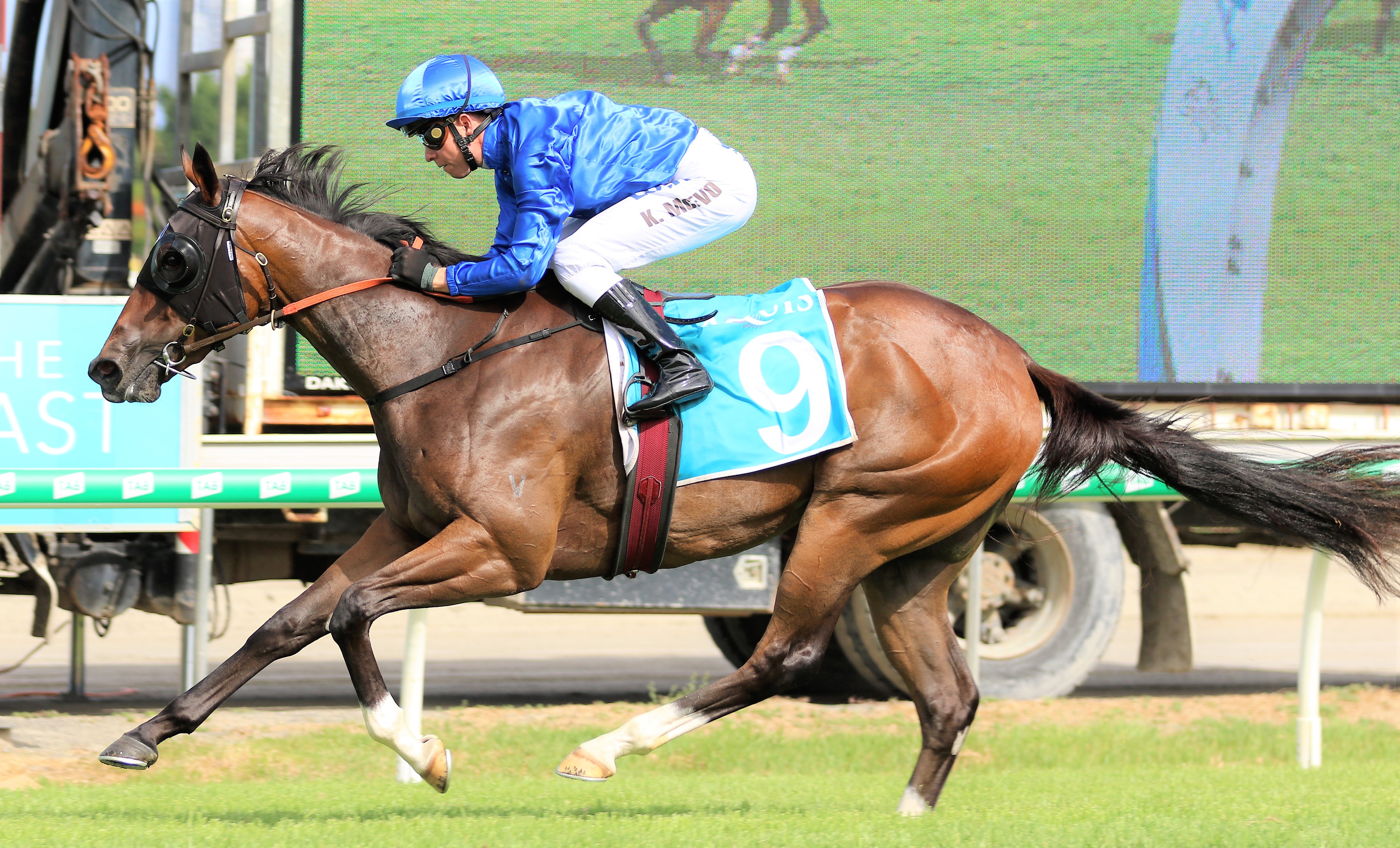 Godolphin to have a Magic Millions Classic runner | Sports News Australia