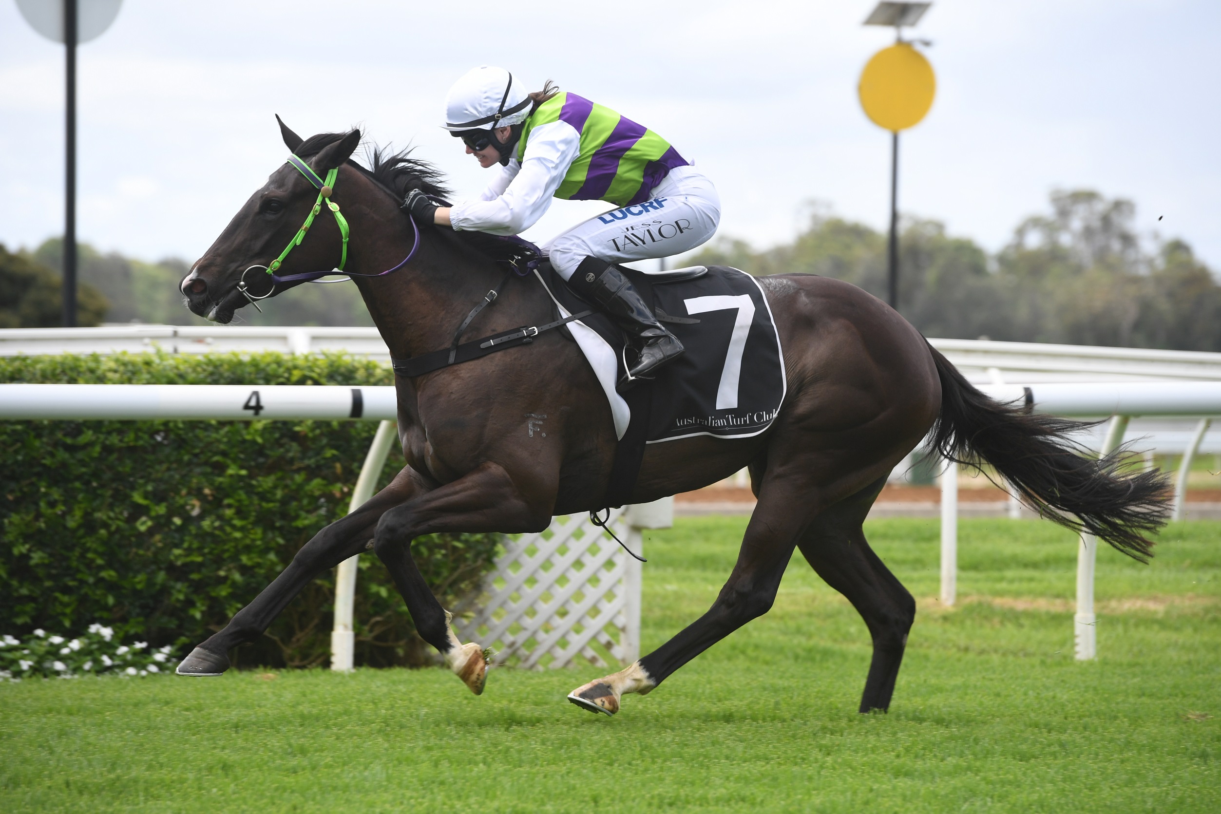 Joe Cleary follows golden rule to Magic Millions | Sports News Australia