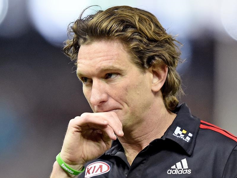 Sheedy backs Hird for AFL coaching return | Sports News Australia