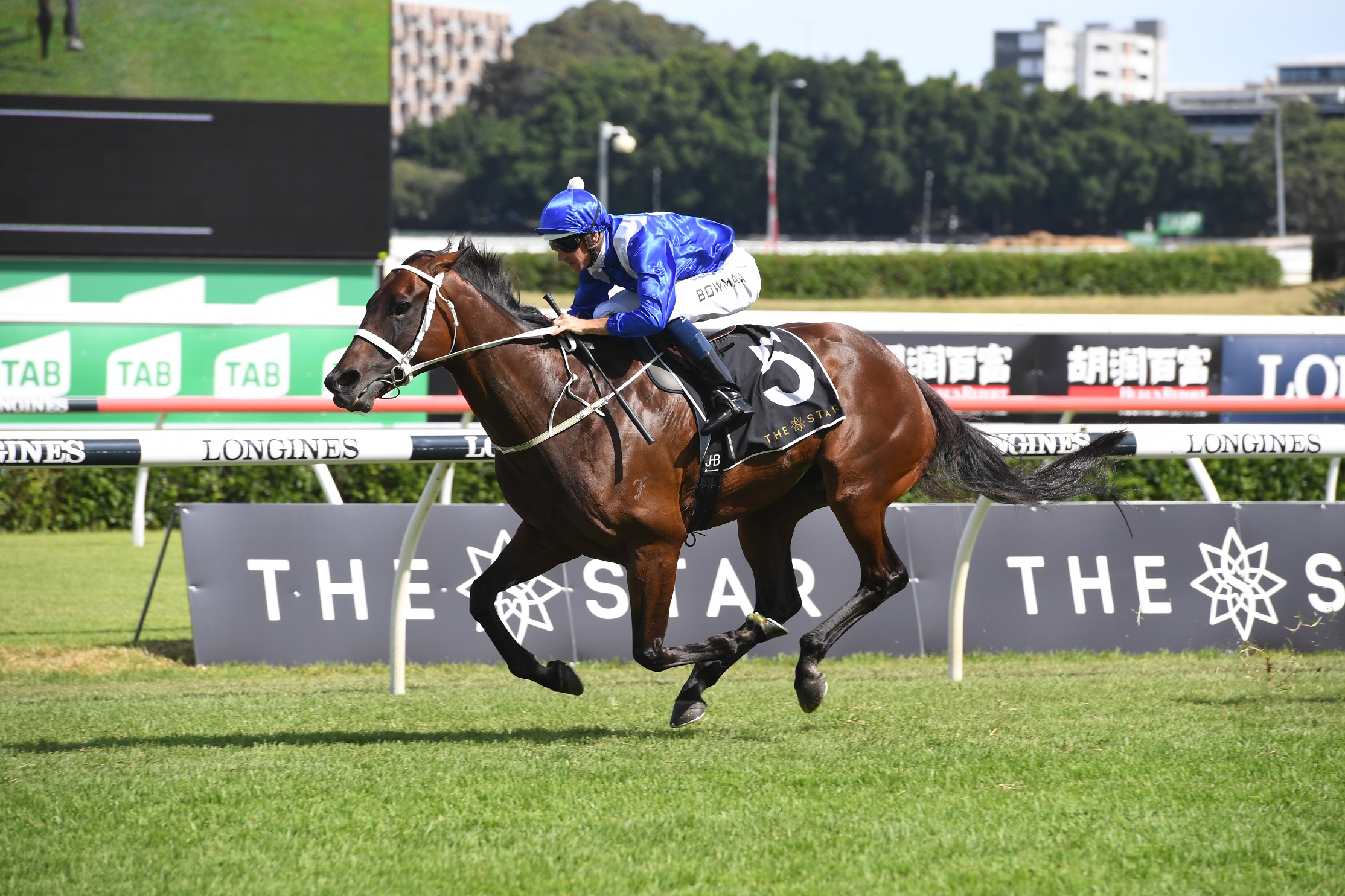 Champion mare Winx ready for world record bid | Sports News Australia
