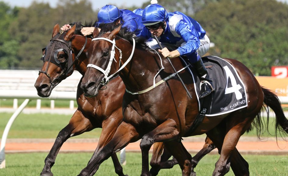Trainer happy with another second to Winx | Sports News Australia
