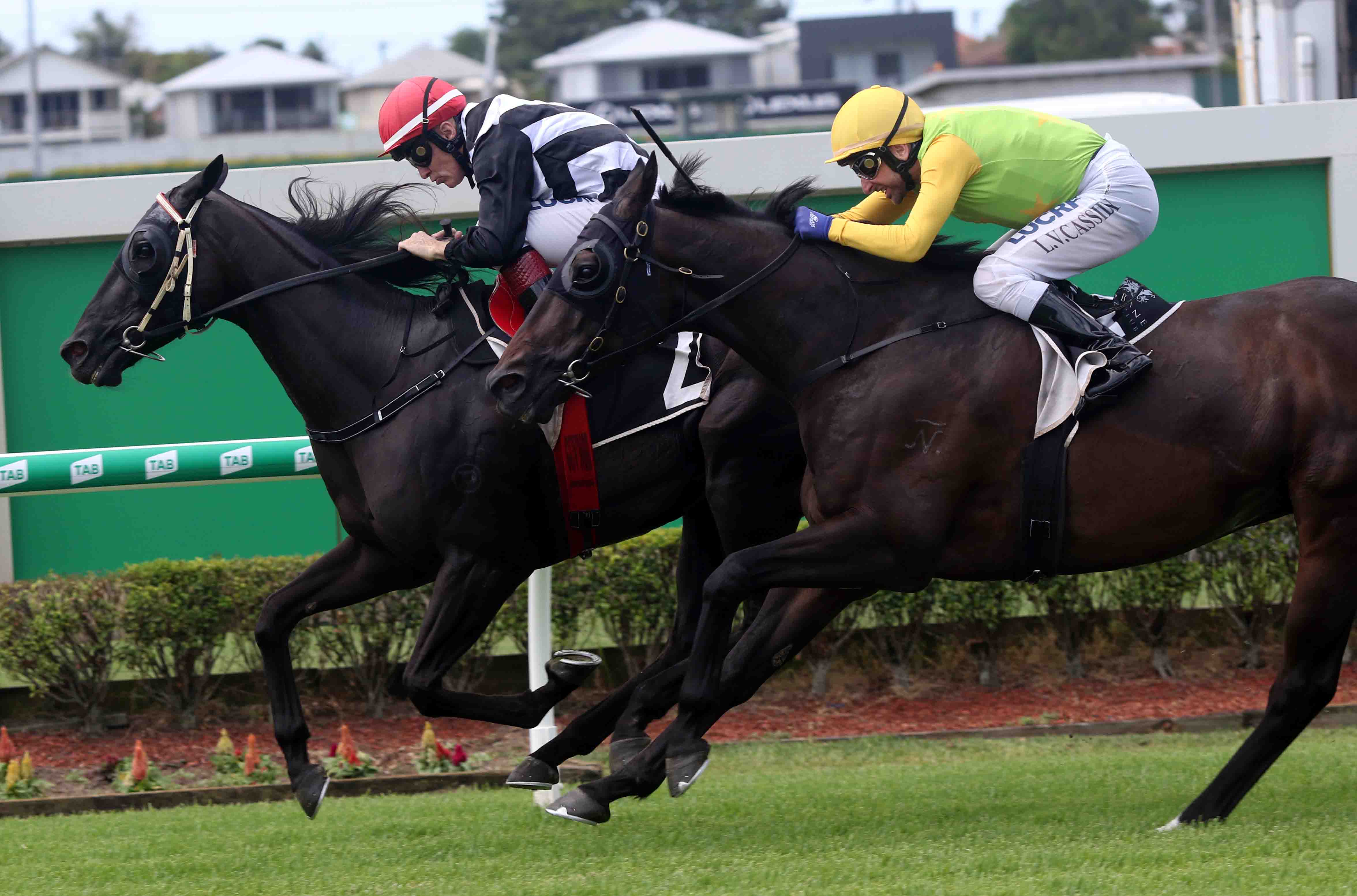 Emphasis on course for Toowoomba Cup | Sports News Australia