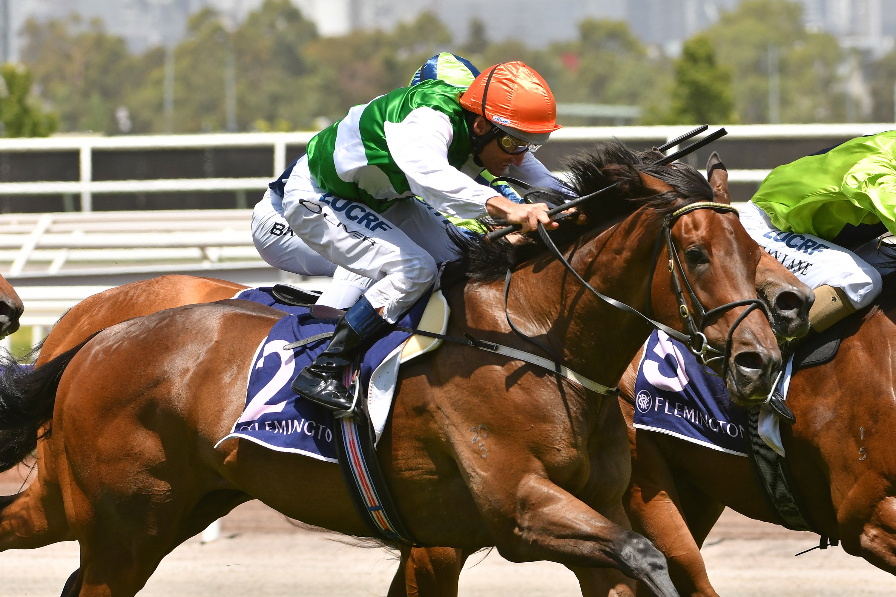 O Tauto Faces Biggest Test In CS Hayes Stakes Field Sports News Australia o-tauto-faces-biggest-test-in-cs-hayes-stakes-field-sports-news-australia