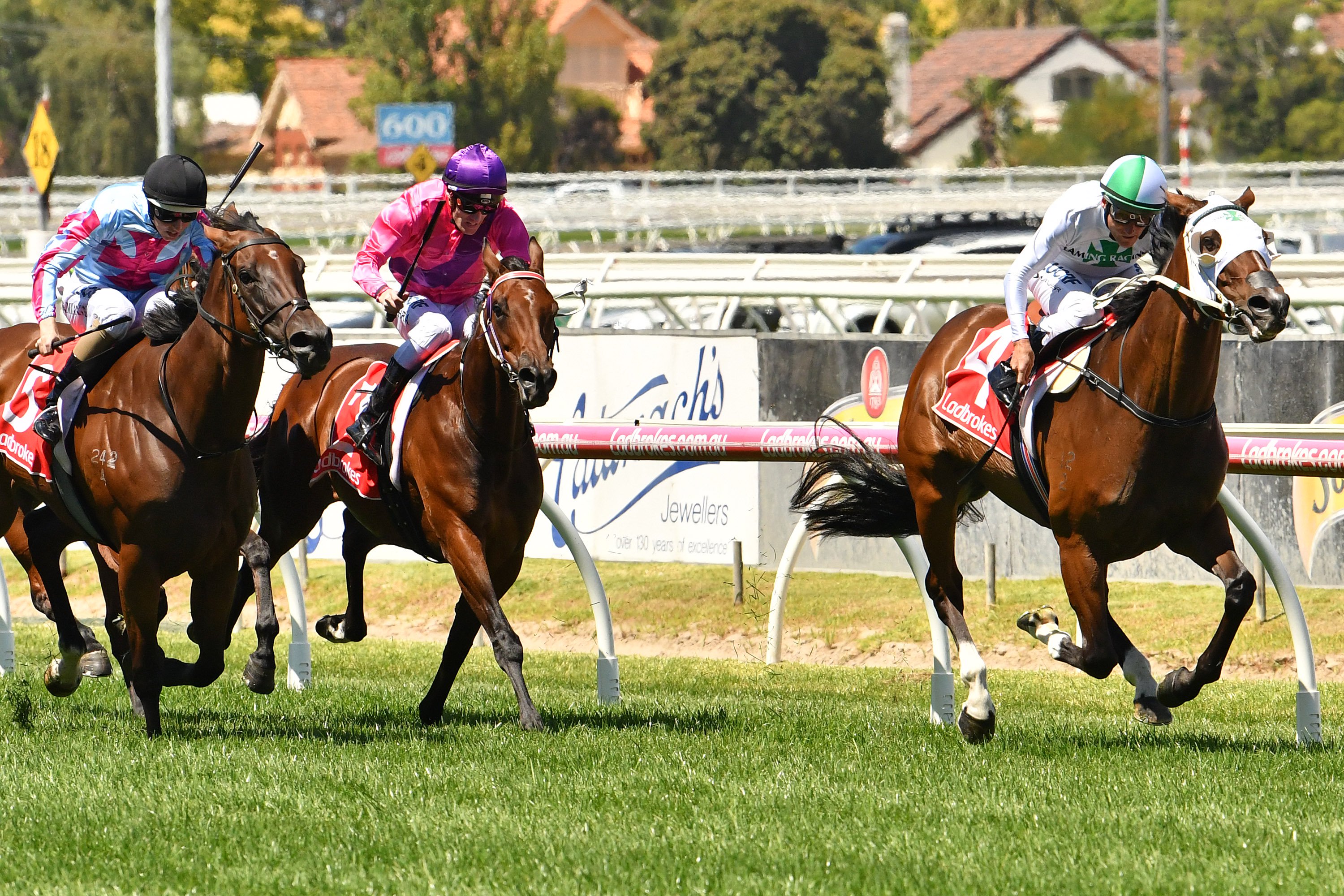 Jamaican Rain races into Coolmore Classic contention | Sports News ...