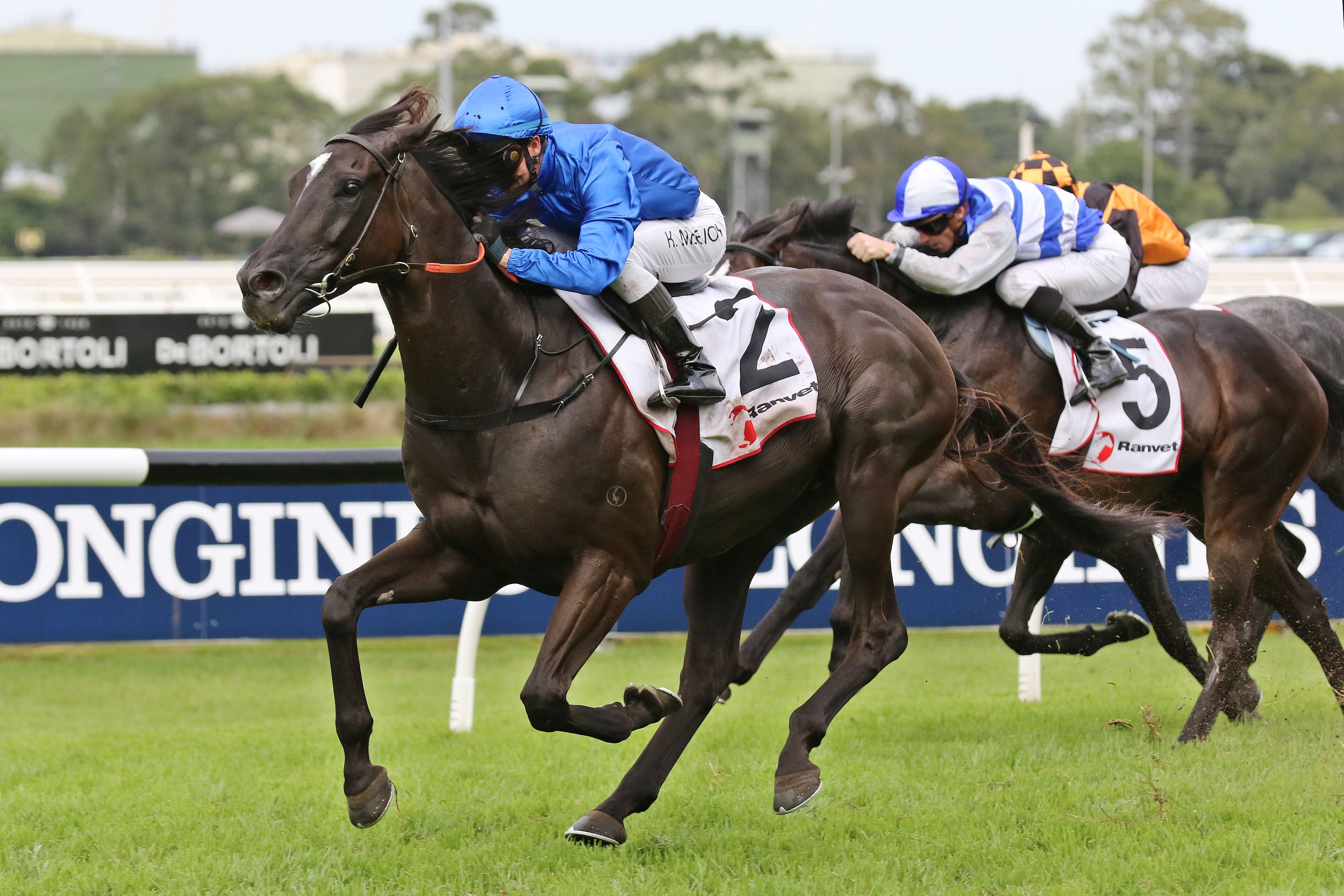 Godolphin set to continue Group 1 dominance | Sports News Australia