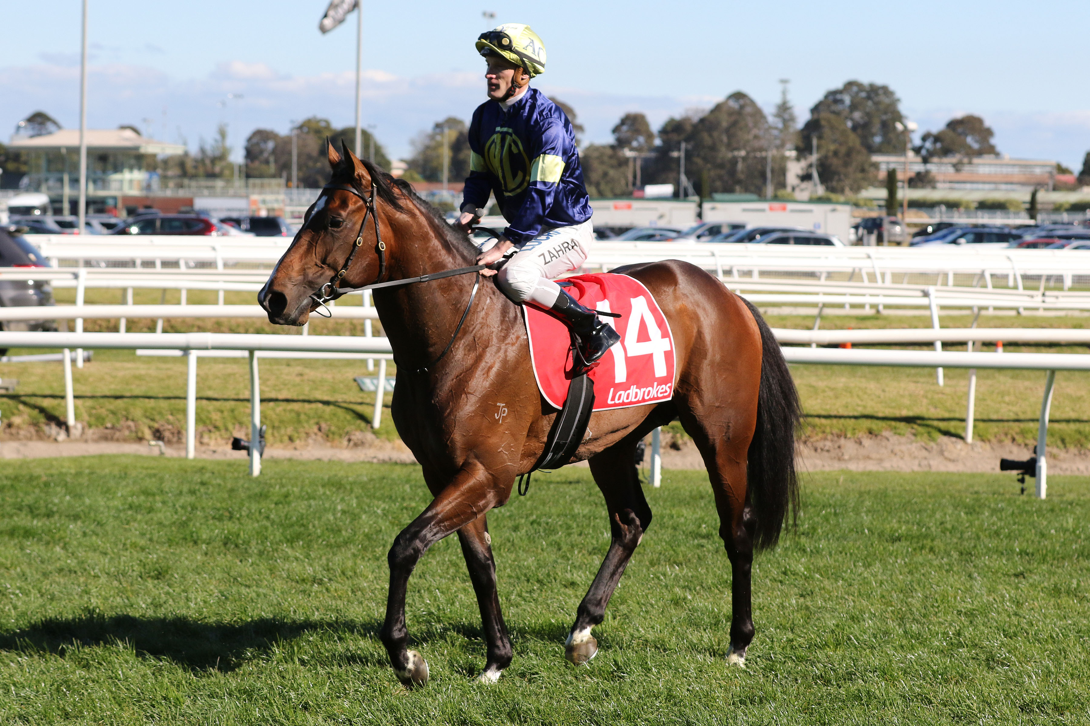 ATC Australian Derby hopes to clash in Alister Clark Stakes | Sports ...