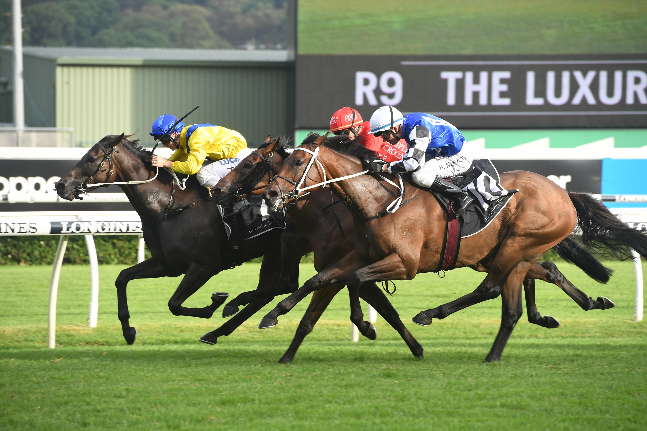 Vinery Stud Stakes – Facts and Figures | Sports News Australia