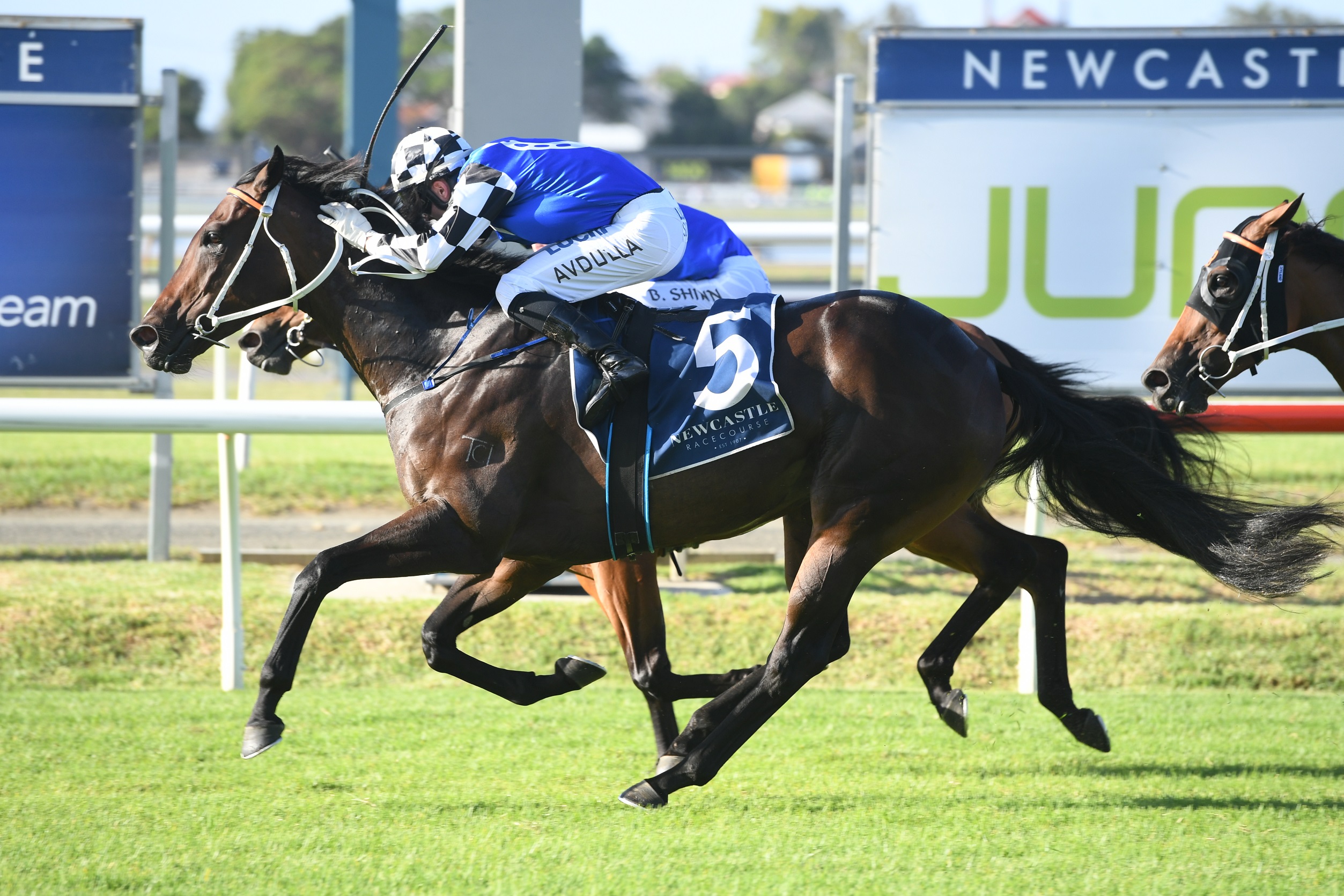 Kris Lees upbeat ahead of Coolmore Classic | Sports News Australia