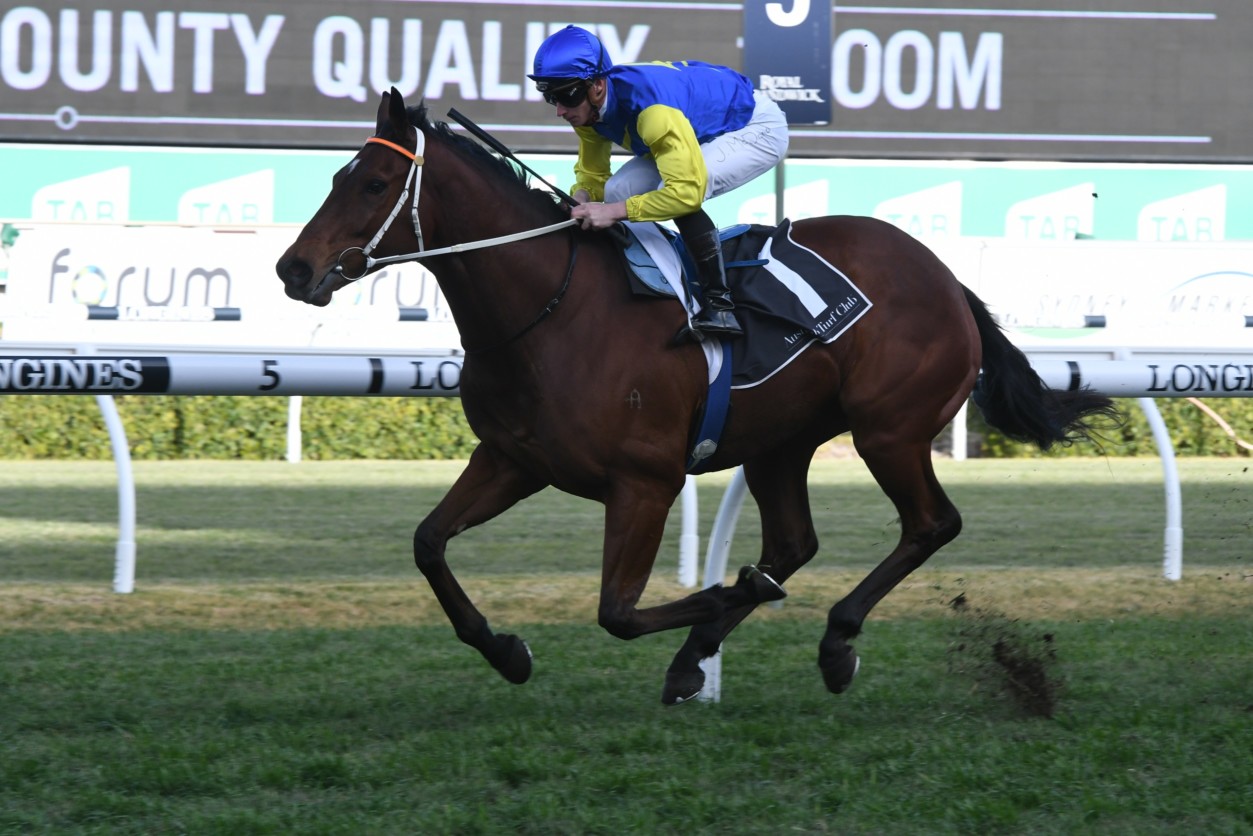 Le Romain has gear chance for All Aged Stakes | Sports News Australia