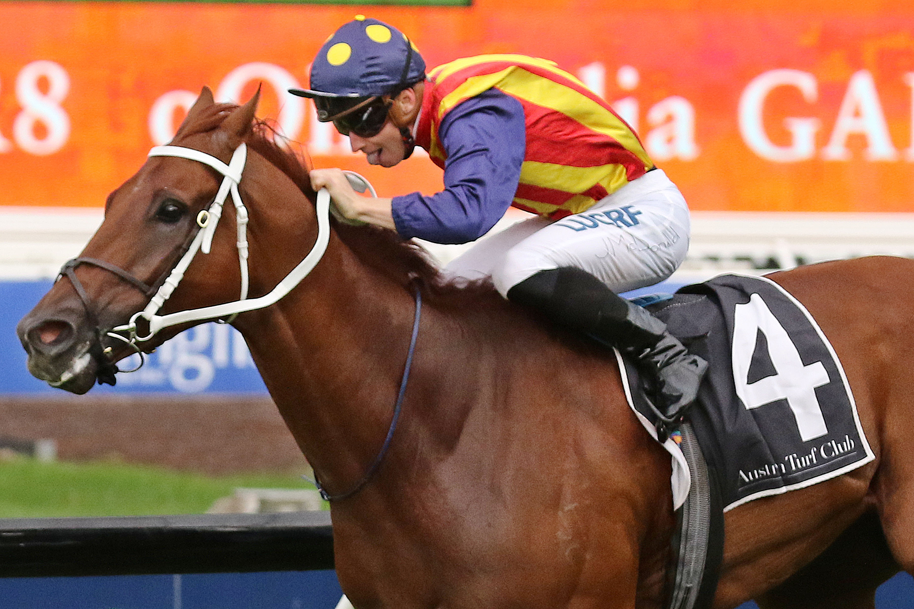 Doomben 10,000 day Tips and Bets – Doomben Races 11/5/2019 | Sports ...