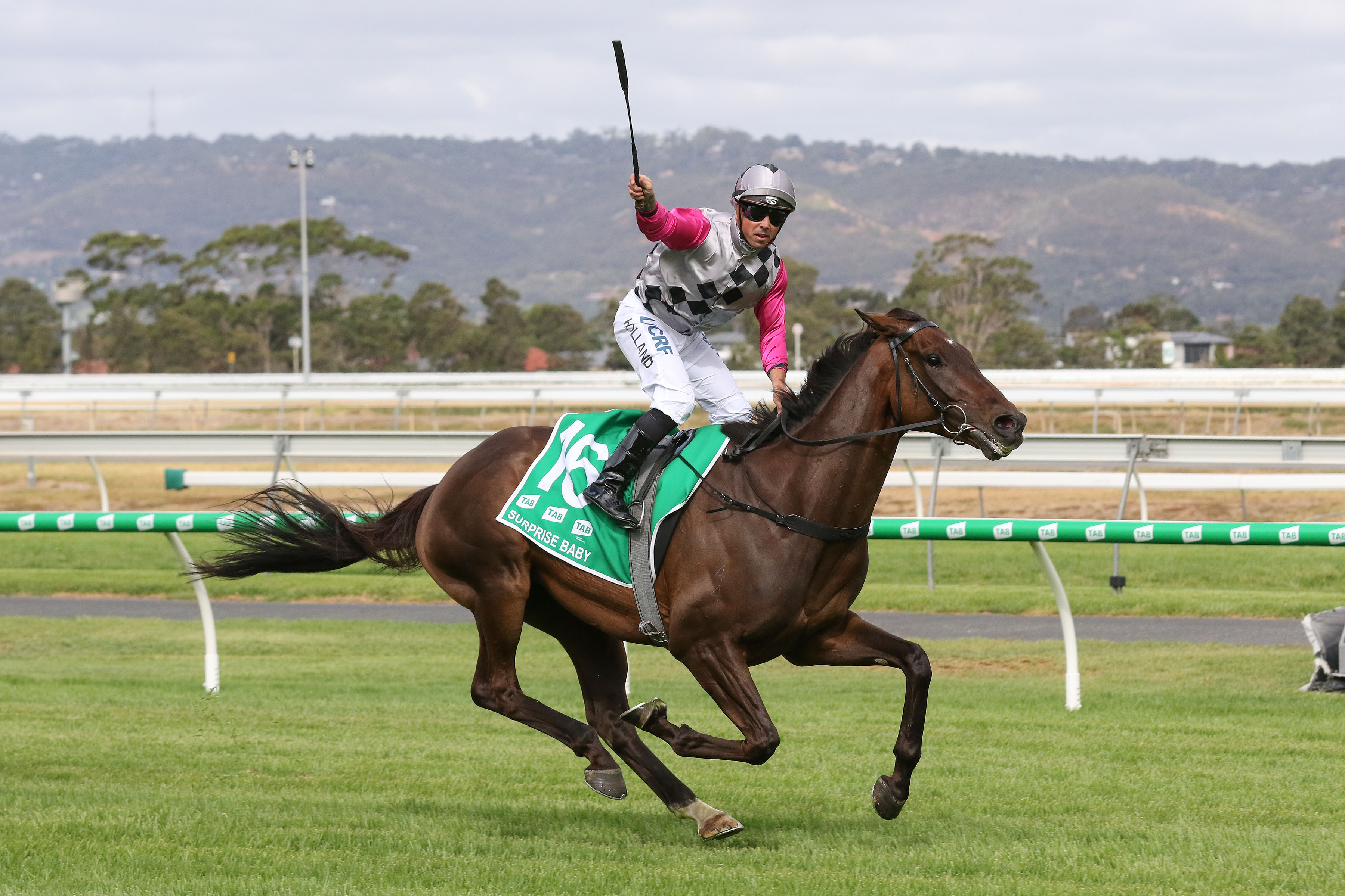 Adelaide Cup winner chasing Melbourne Cup spot | Sports News Australia