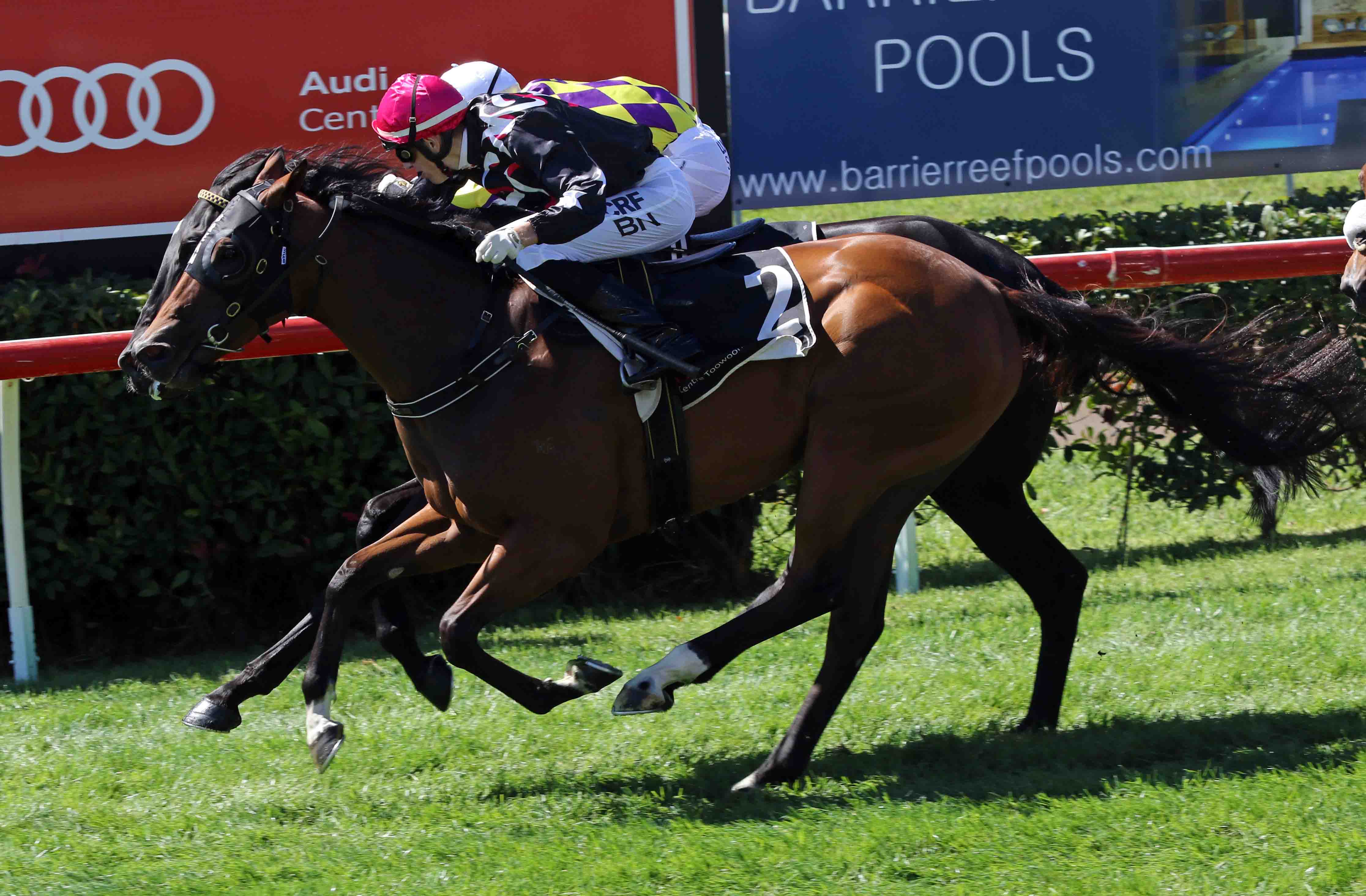 Tony Gollan in homecoming win at Toowoomba | Sports News Australia