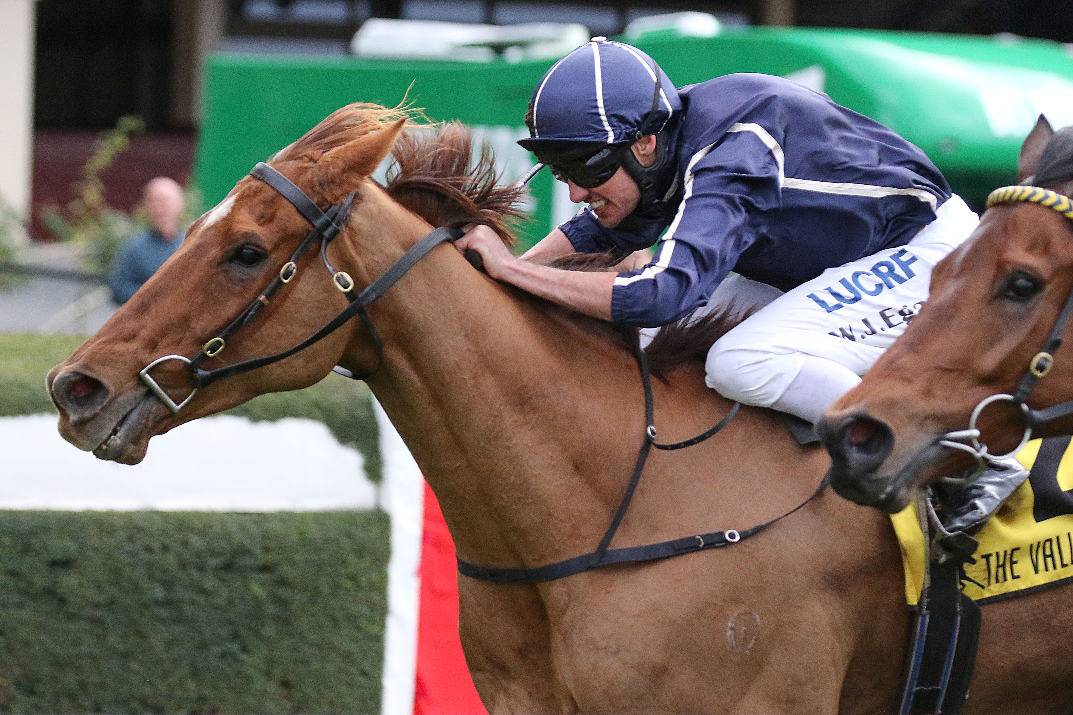 Patrick Payne after another Doncaster Mile | Sports News Australia