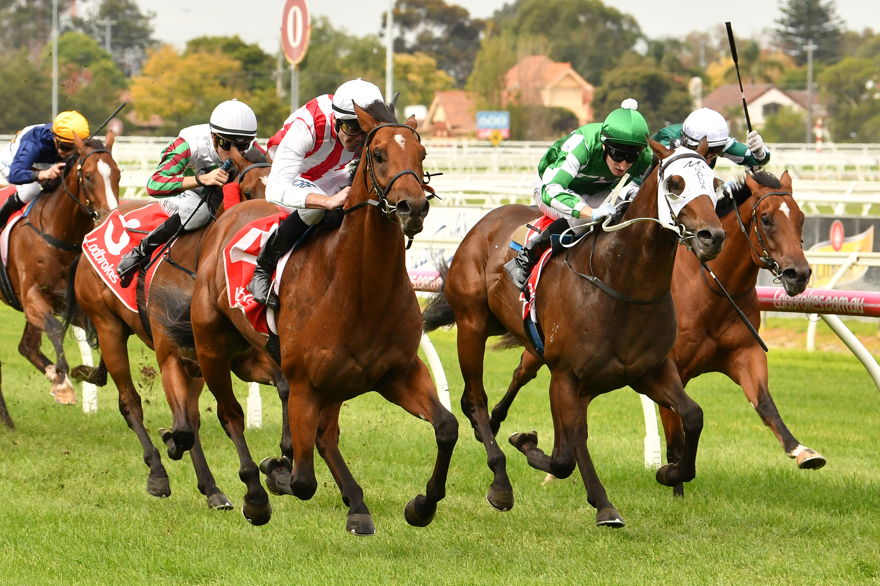 Super Seth ready for 2019 Anzac Day Stakes | Sports News Australia