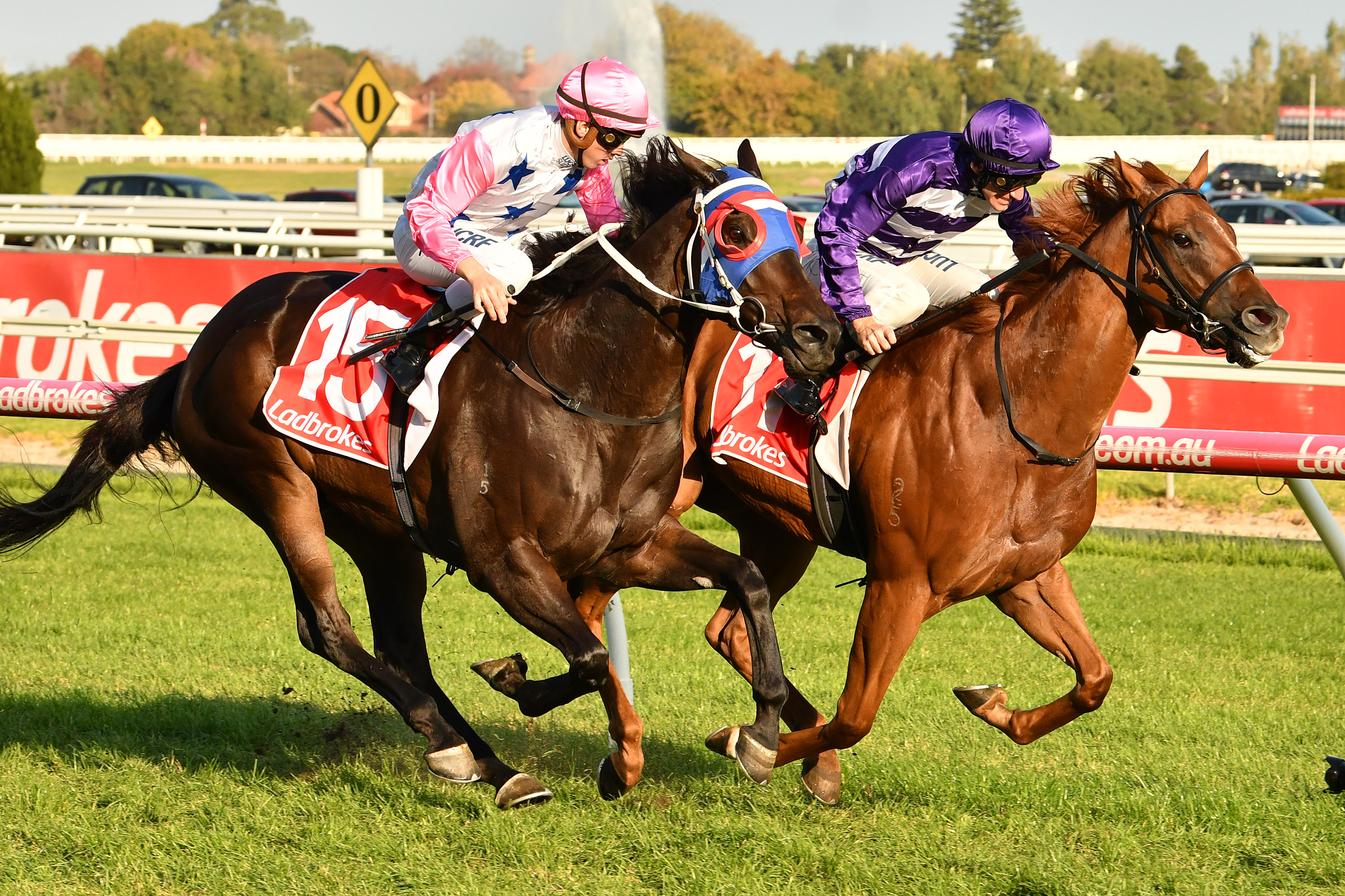 Nick Ryan doubles up at Caulfield | Sports News Australia