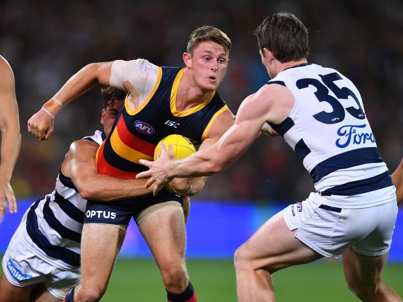 Crows lose Matt Crouch for AFL clash | Sports News Australia